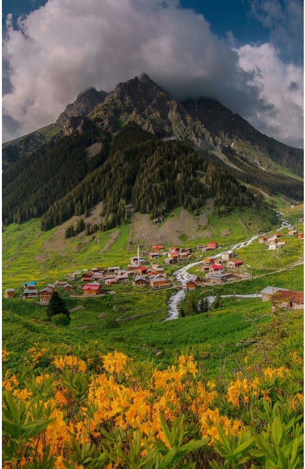 Publican Quality Meats - 2026 Big Game Day Offerings - Chicago, IL | Tock