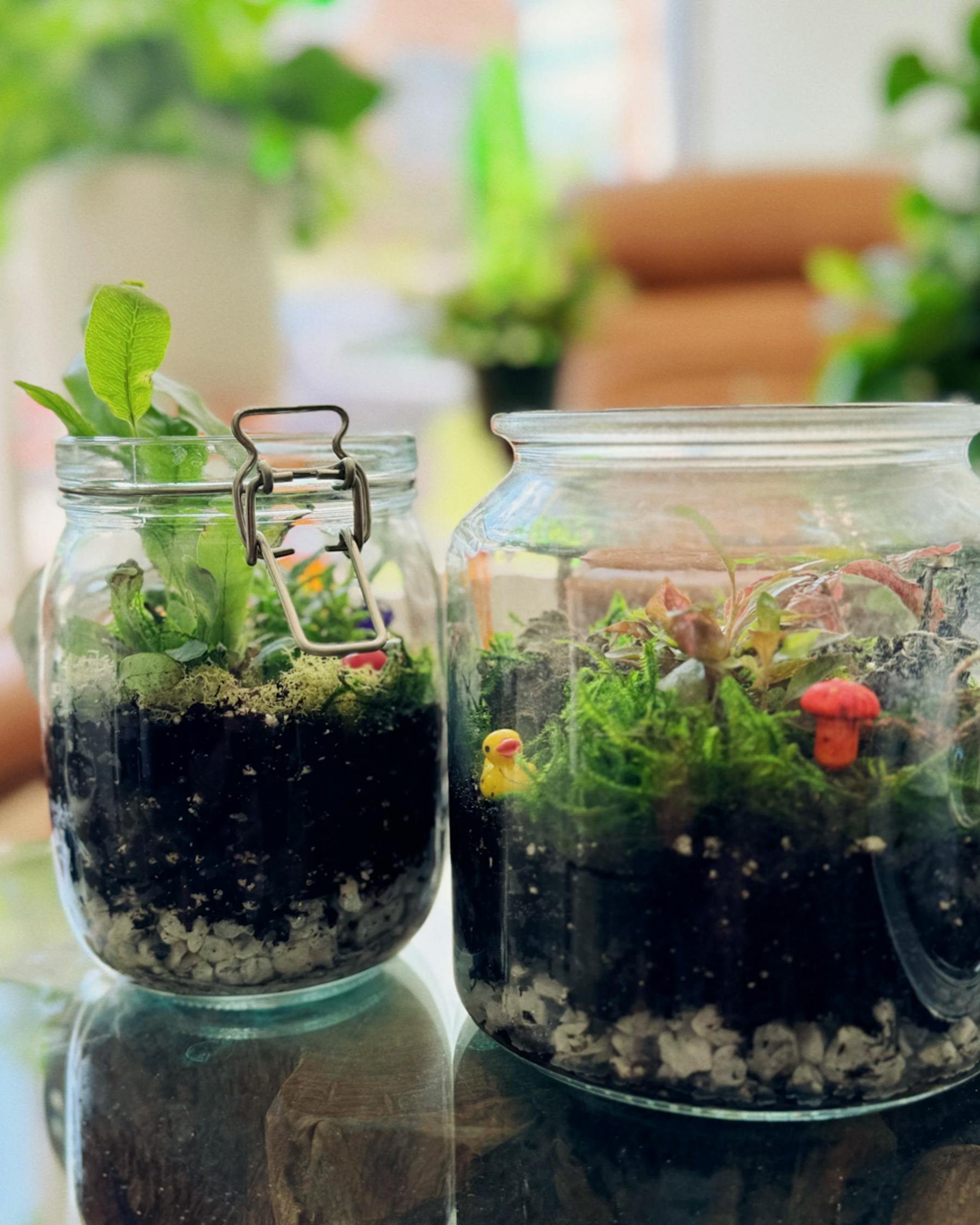 Terrace Plant Shop - Westfield, NJ | Tock