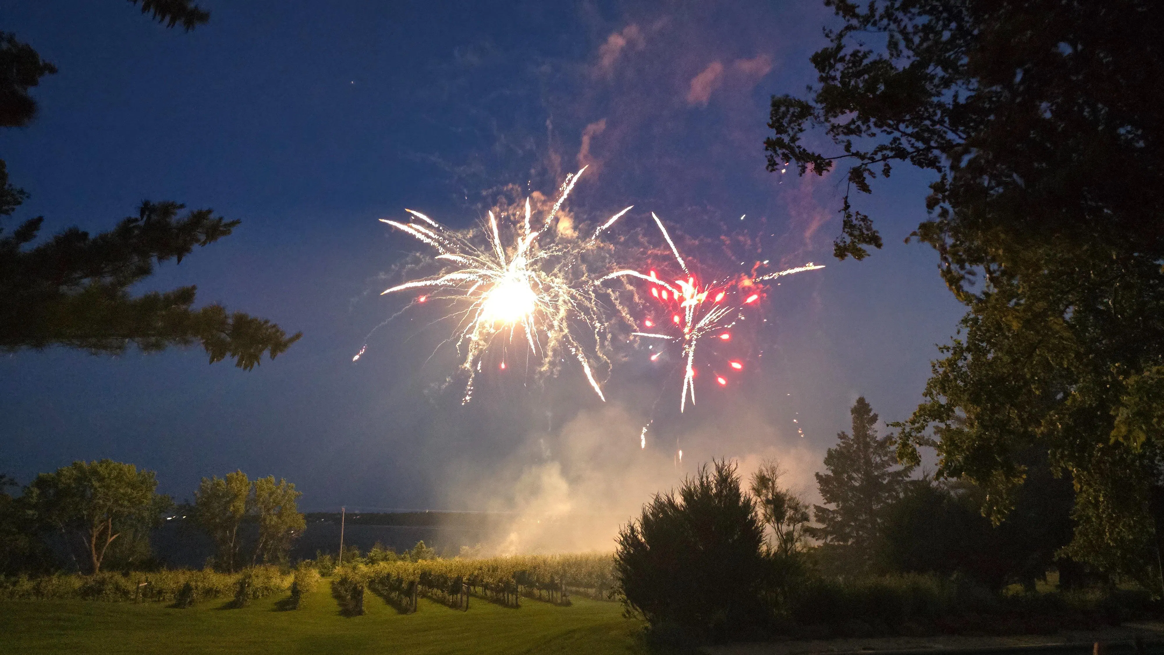 July 3 - Waconia Fireworks and Elvis Tribute Concert - Sovereign Estate ...