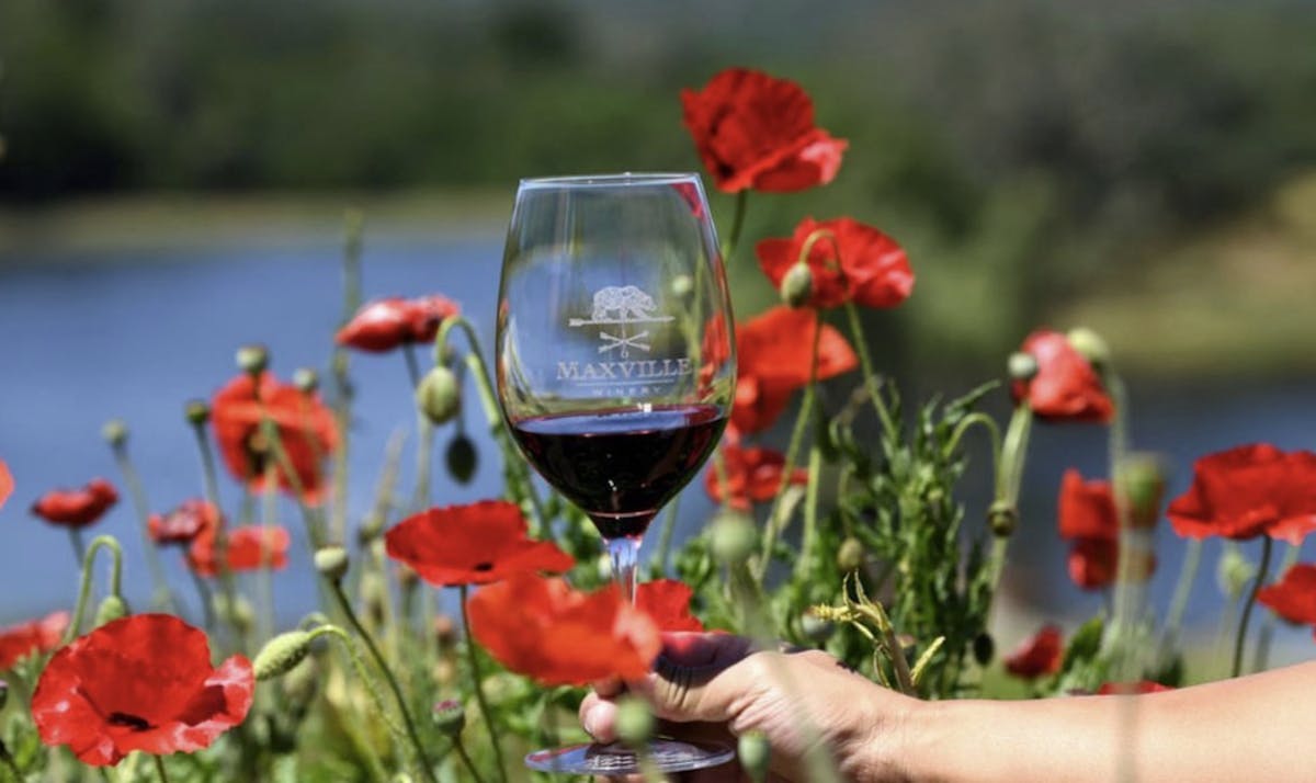 Maxville Winery - St. Helena, CA | Tock