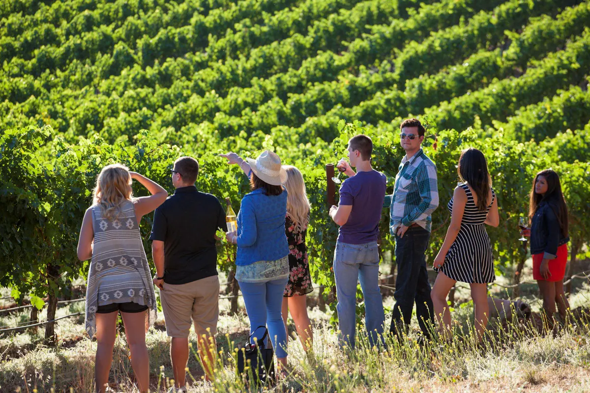 Alexander Valley Vineyards - Healdsburg, CA | Tock