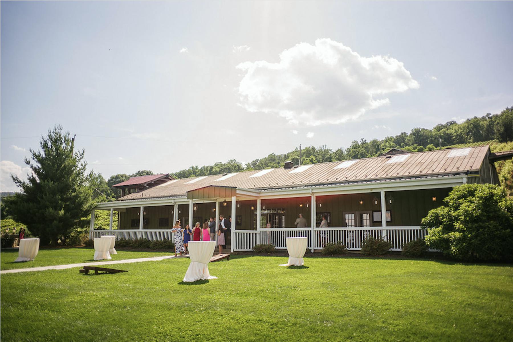 Bluemont Vineyard - Bluemont, VA | Tock