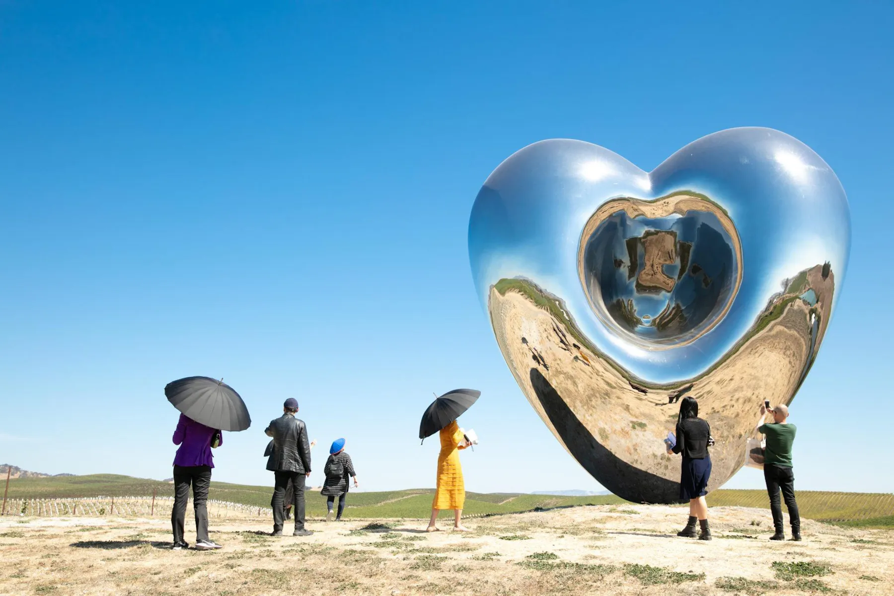 The Donum Estate - Sonoma, CA | Tock
