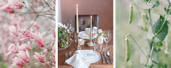 Slater Run Vineyards - Upperville, VA | Tock