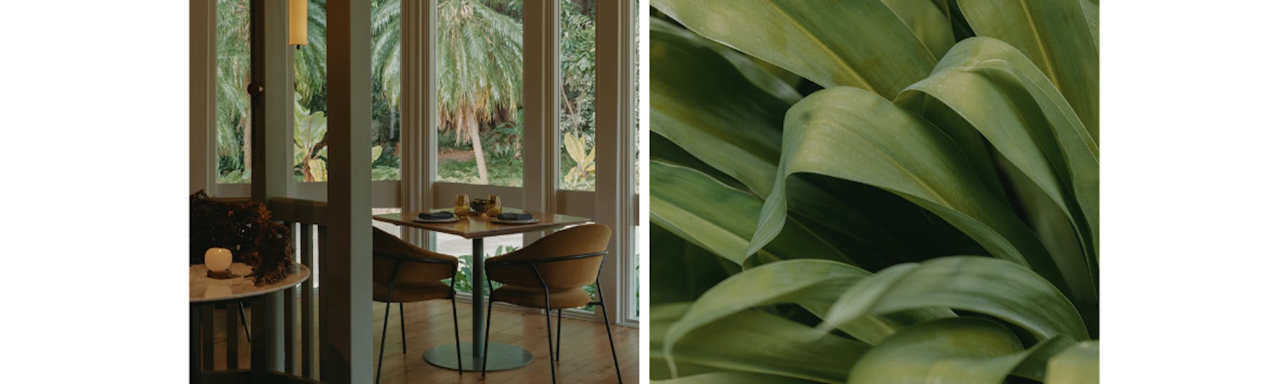 Restaurant Botanic - Adelaide, SA | Tock