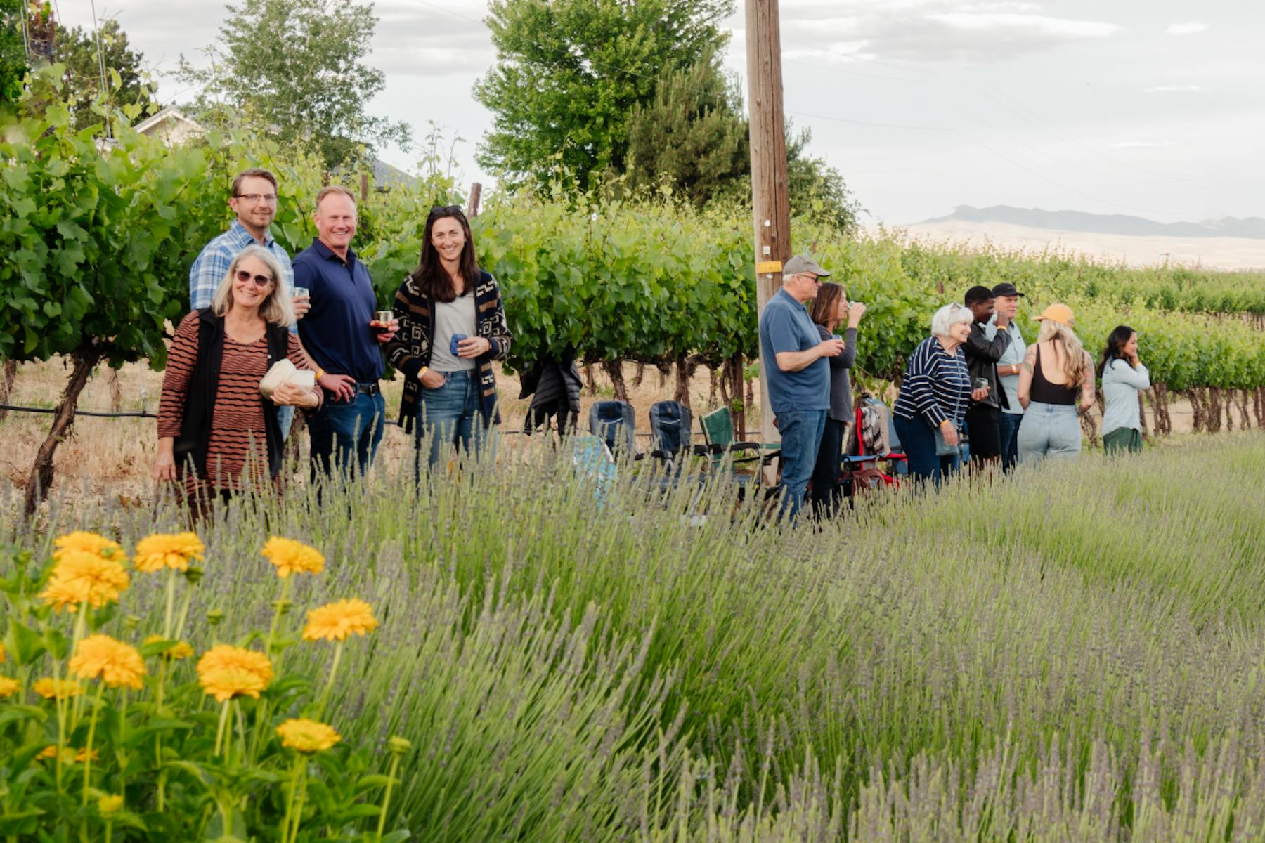 Gilbert Cellars - Yakima, WA | Tock