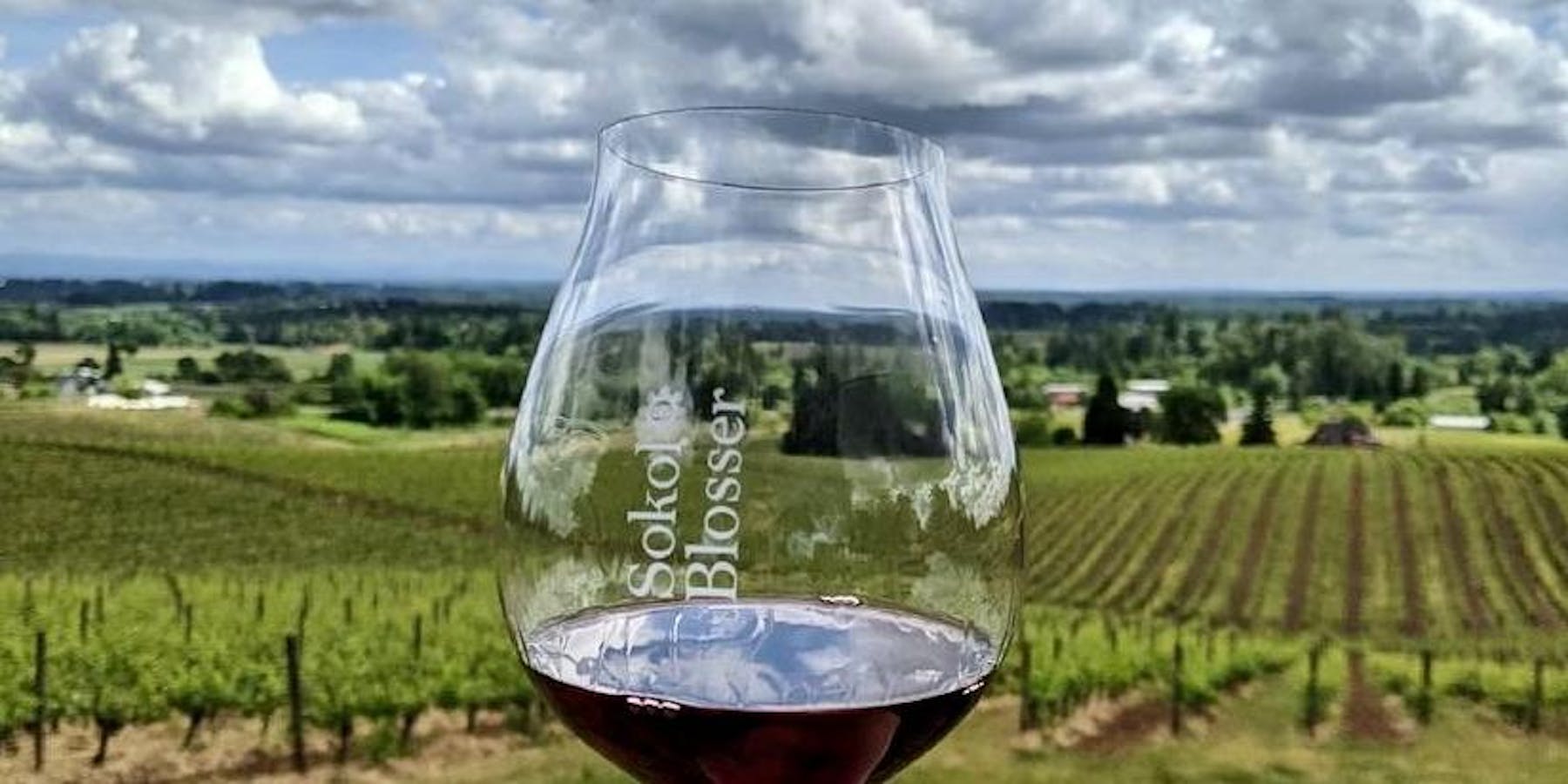 Sokol Blosser Winery - Winery Tour & Tasting - Dayton, OR | Tock