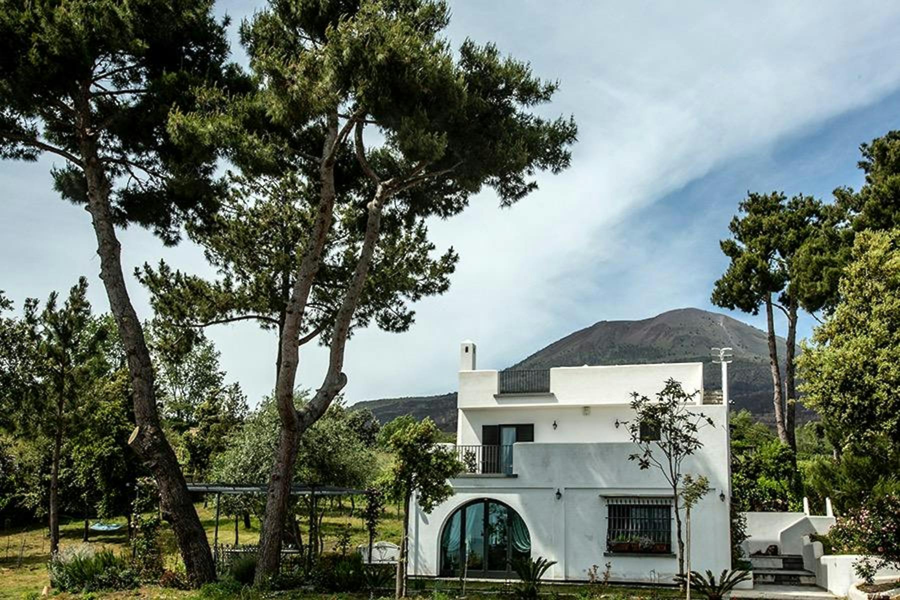 Cantina Del Vesuvio Winery Russo Family - Trecase, CAMPANIA | Tock