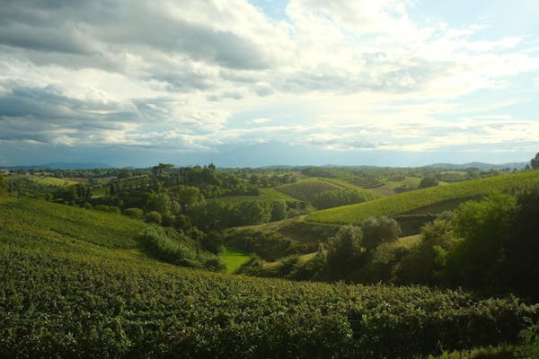 The Common House - Bar Menu Reservation - Anderson, SC | Tock