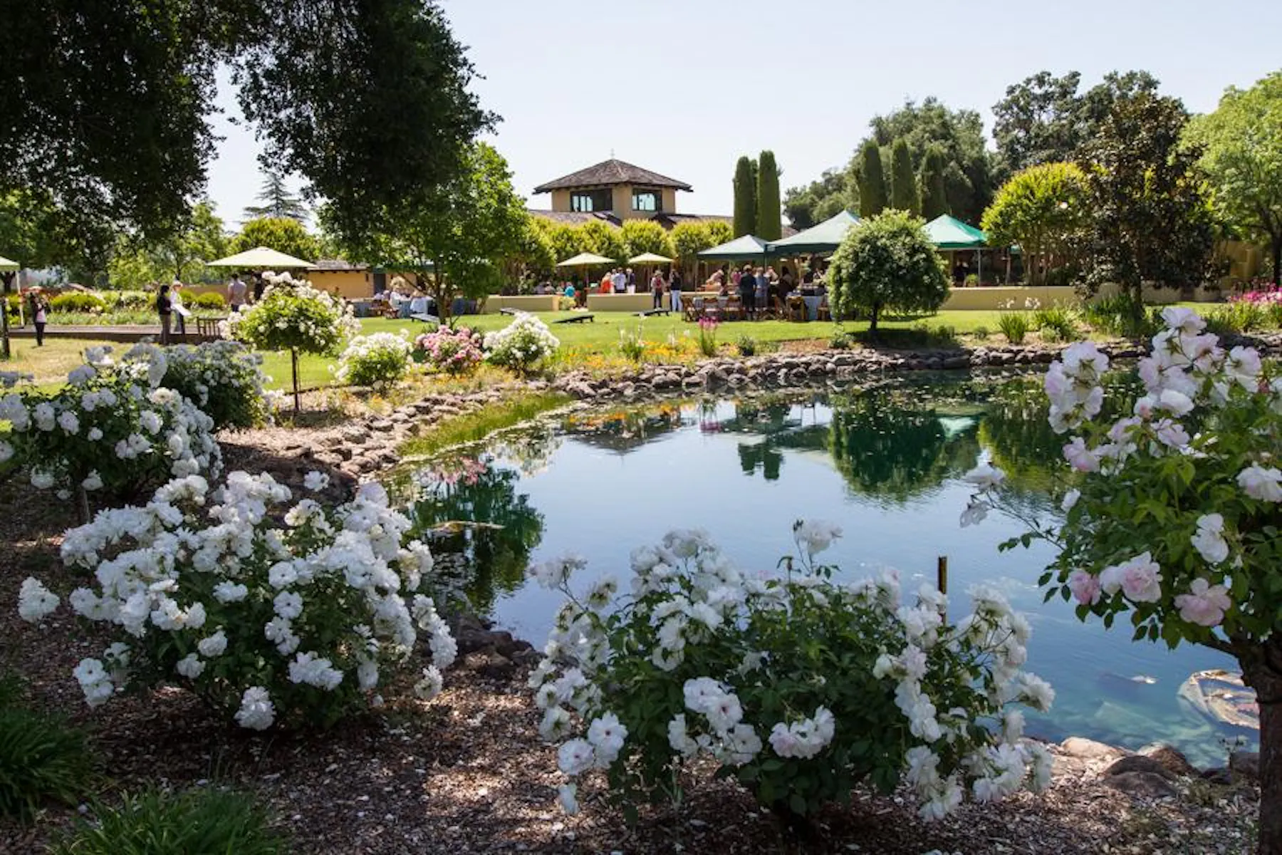 Landmark Vineyards - Kenwood Estate - Kenwood, CA | Tock