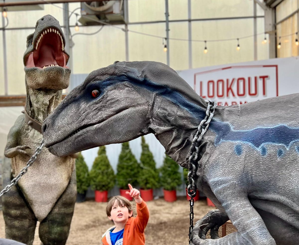 Lookout Farm Brewing & Cider Co. Taproom - Natick, MA | Tock