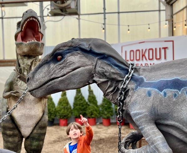 Lookout Farm Brewing & Cider Co. Taproom - Natick, MA | Tock