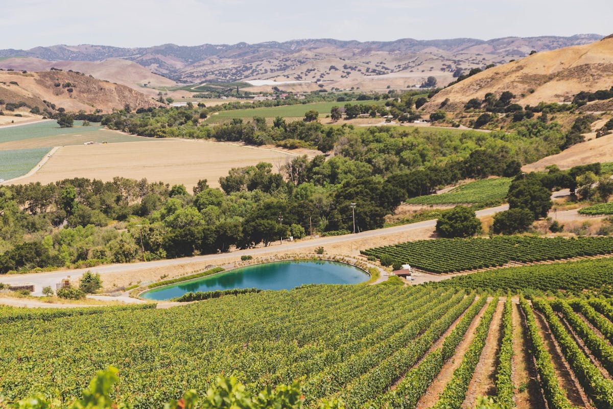 Peake Ranch - Buellton, CA | Tock