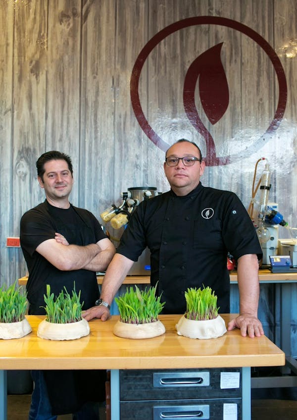 Kuuk Restaurant - Yucatan - Mérida, YUC. | Tock