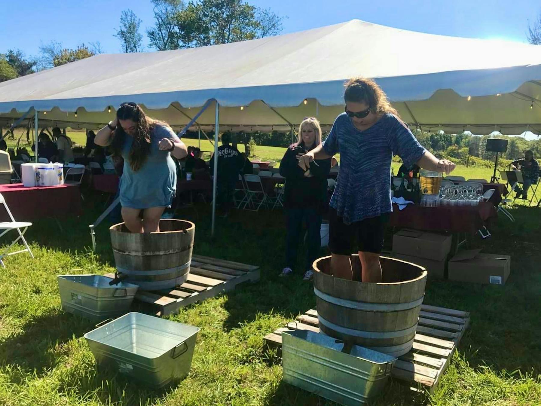 The Bistro at Mountain View Vineyard - Stroudsburg, PA | Tock