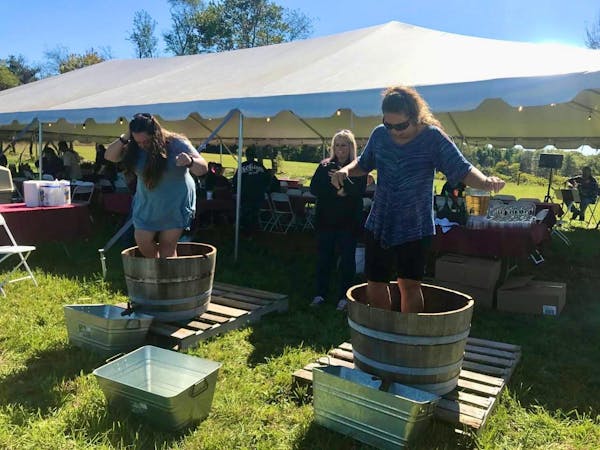 The Bistro at Mountain View Vineyard - Stroudsburg, PA | Tock