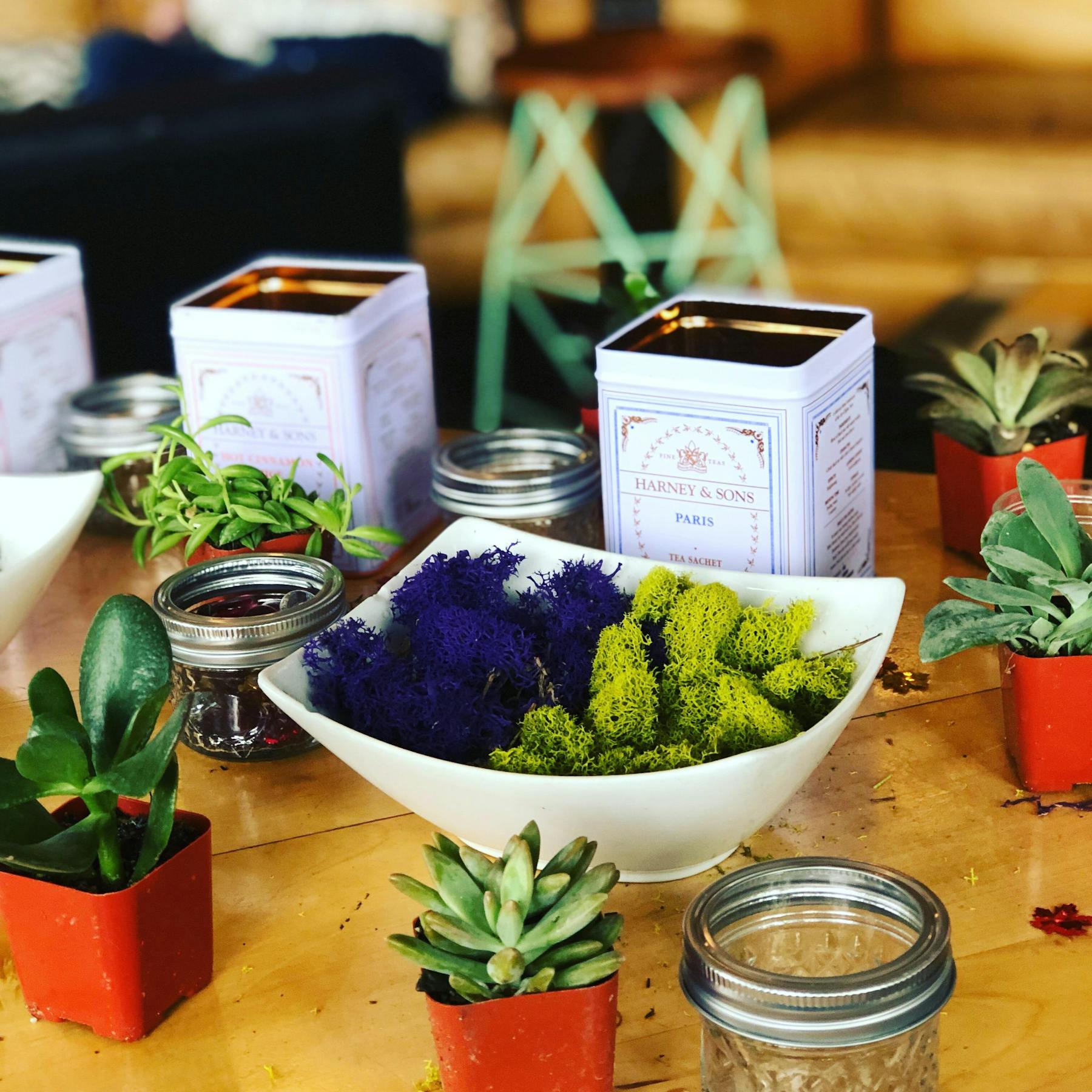 Halcyon Dallas - Dallas, TX | Tock