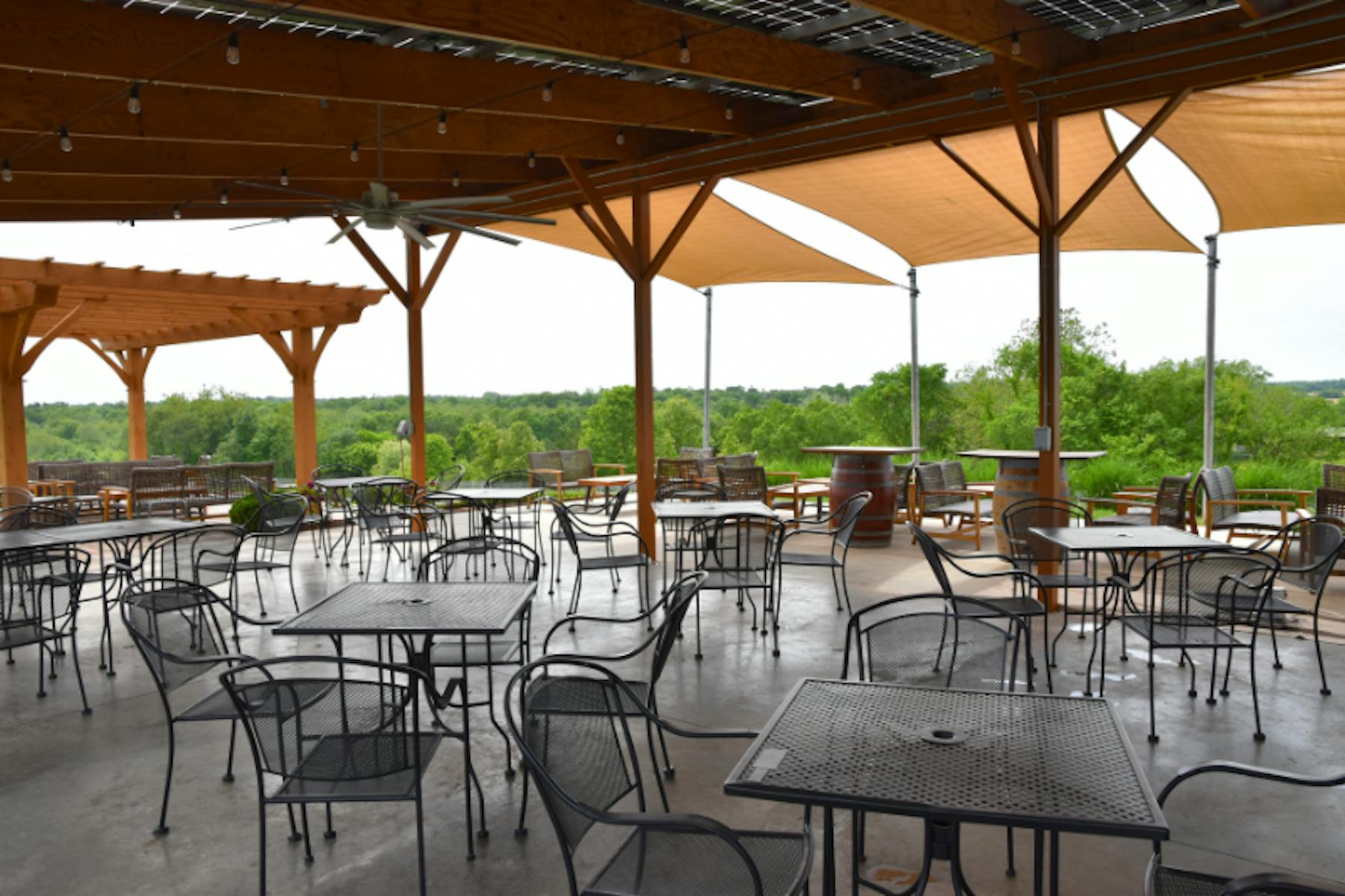 Windridge Vineyards - Darnestown, MD | Tock