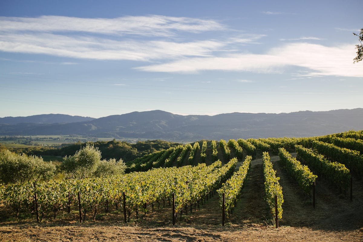 Merryvale Winery - St. Helena, CA | Tock