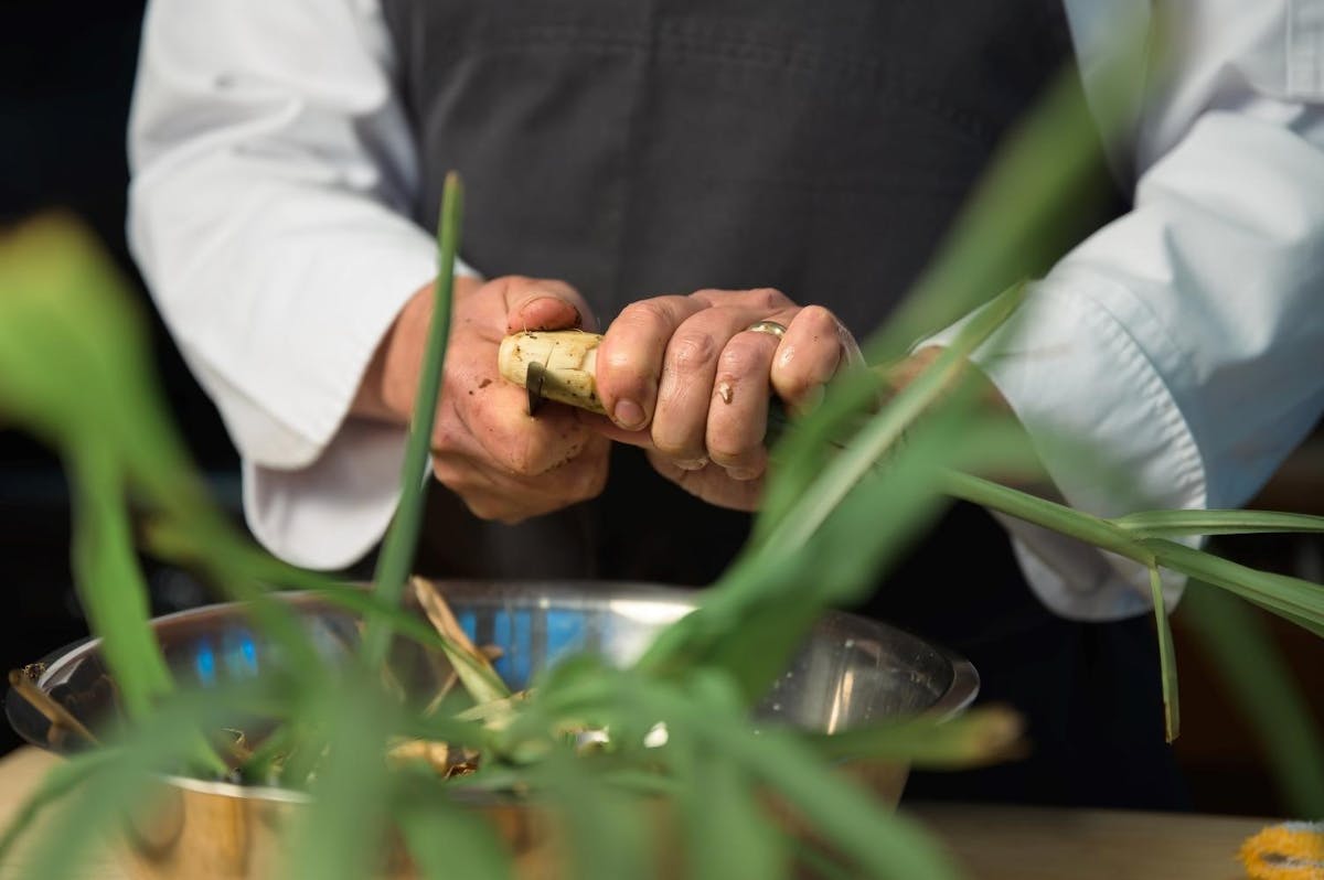 Cakebread Cellars - Classic Cakebread - Friday - Sunday - Napa, CA | Tock