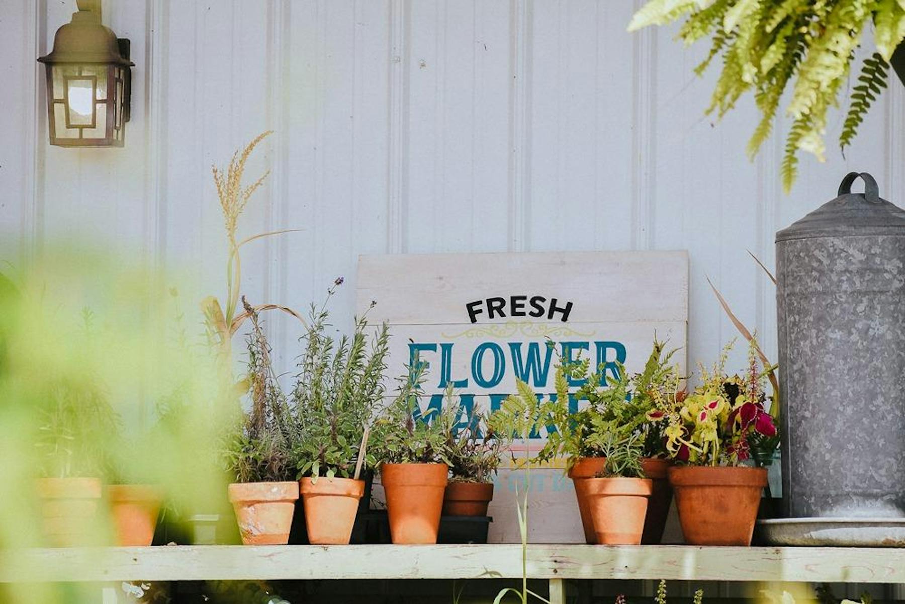 Locavore Farm - Grant Park, IL | Tock