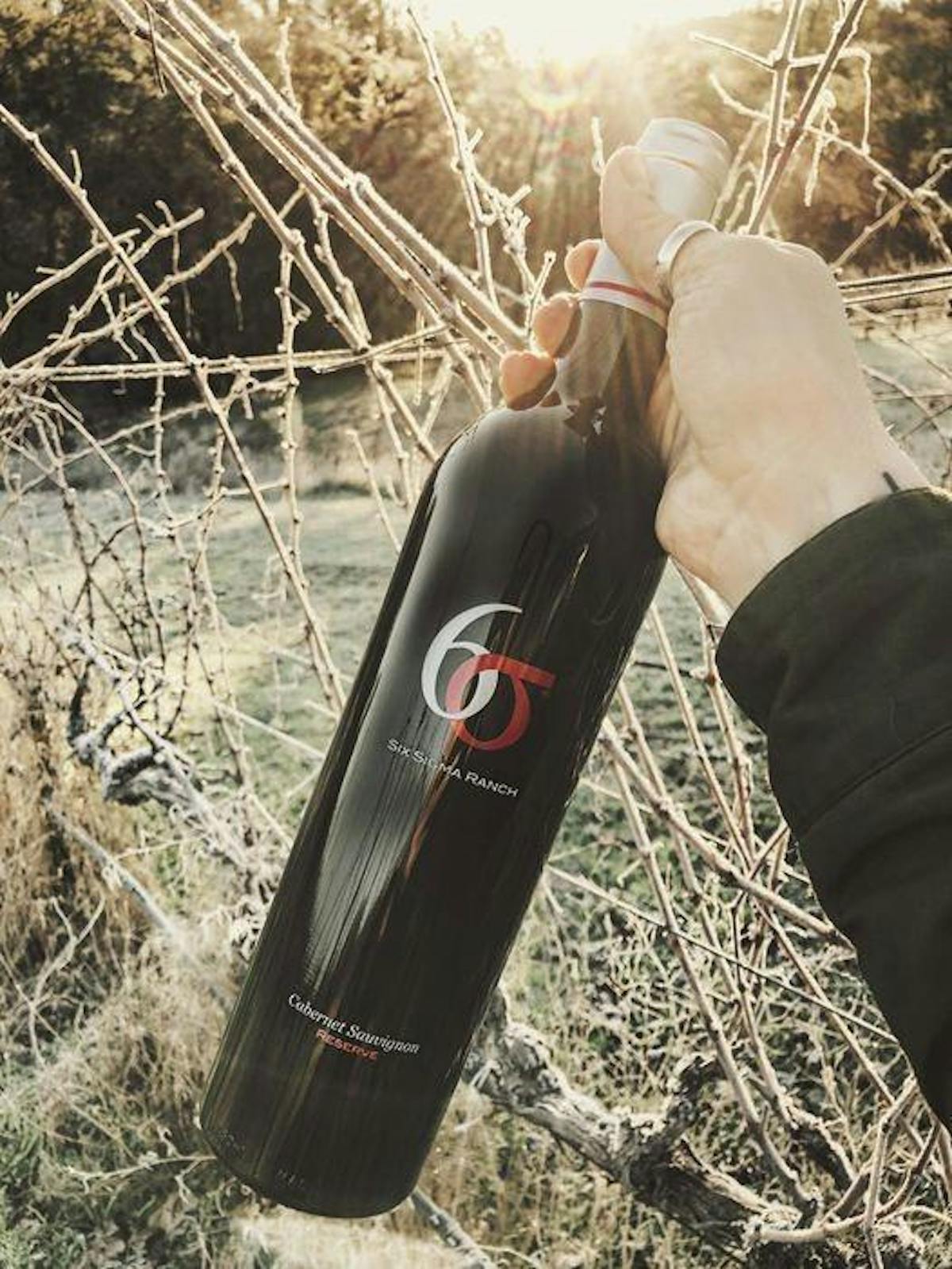 Six Sigma Ranch and Winery - Lower Lake, CA | Tock