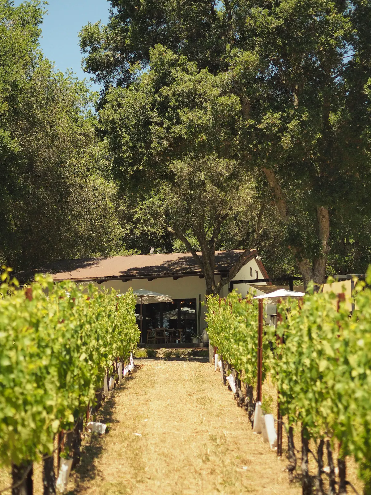 Reeve Wines - Healdsburg, CA | Tock