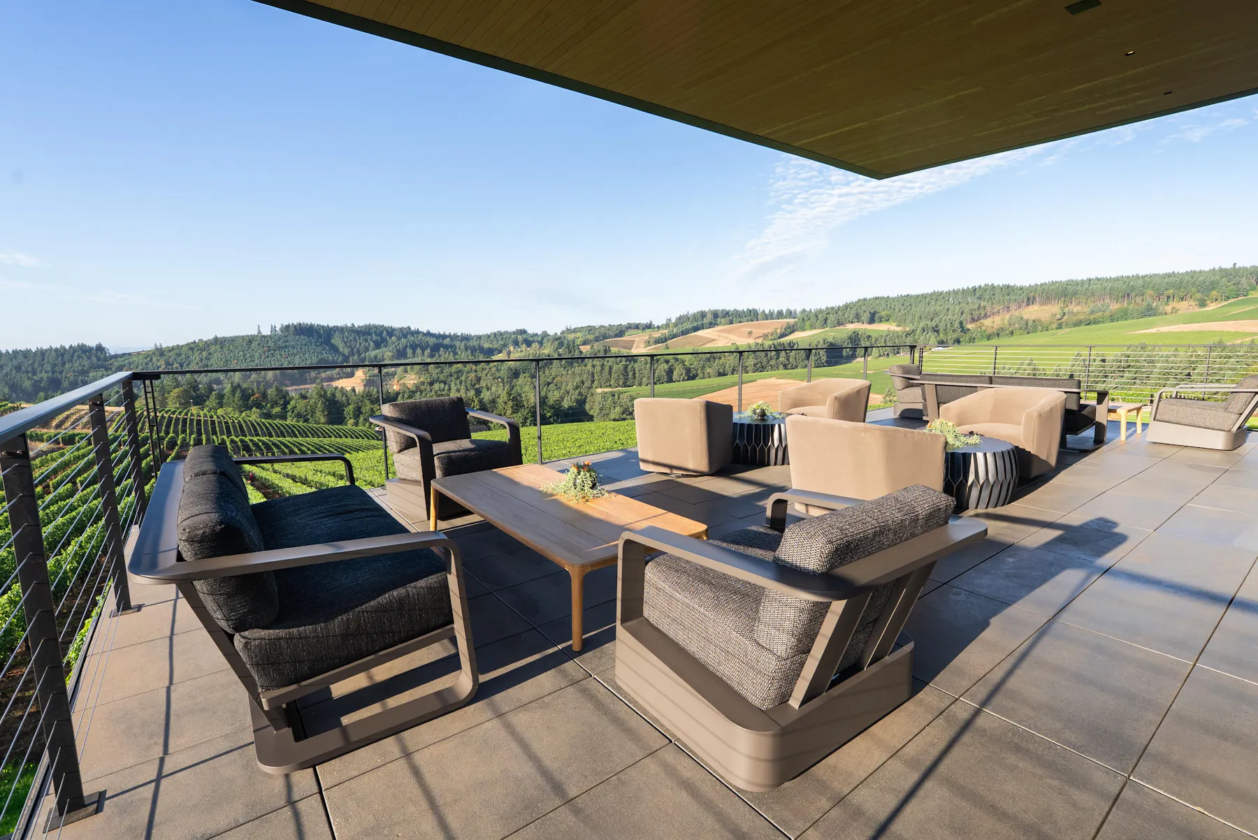 LucidWild Estate Experiences - LucidWild Harvest Vineyard Tour and ...