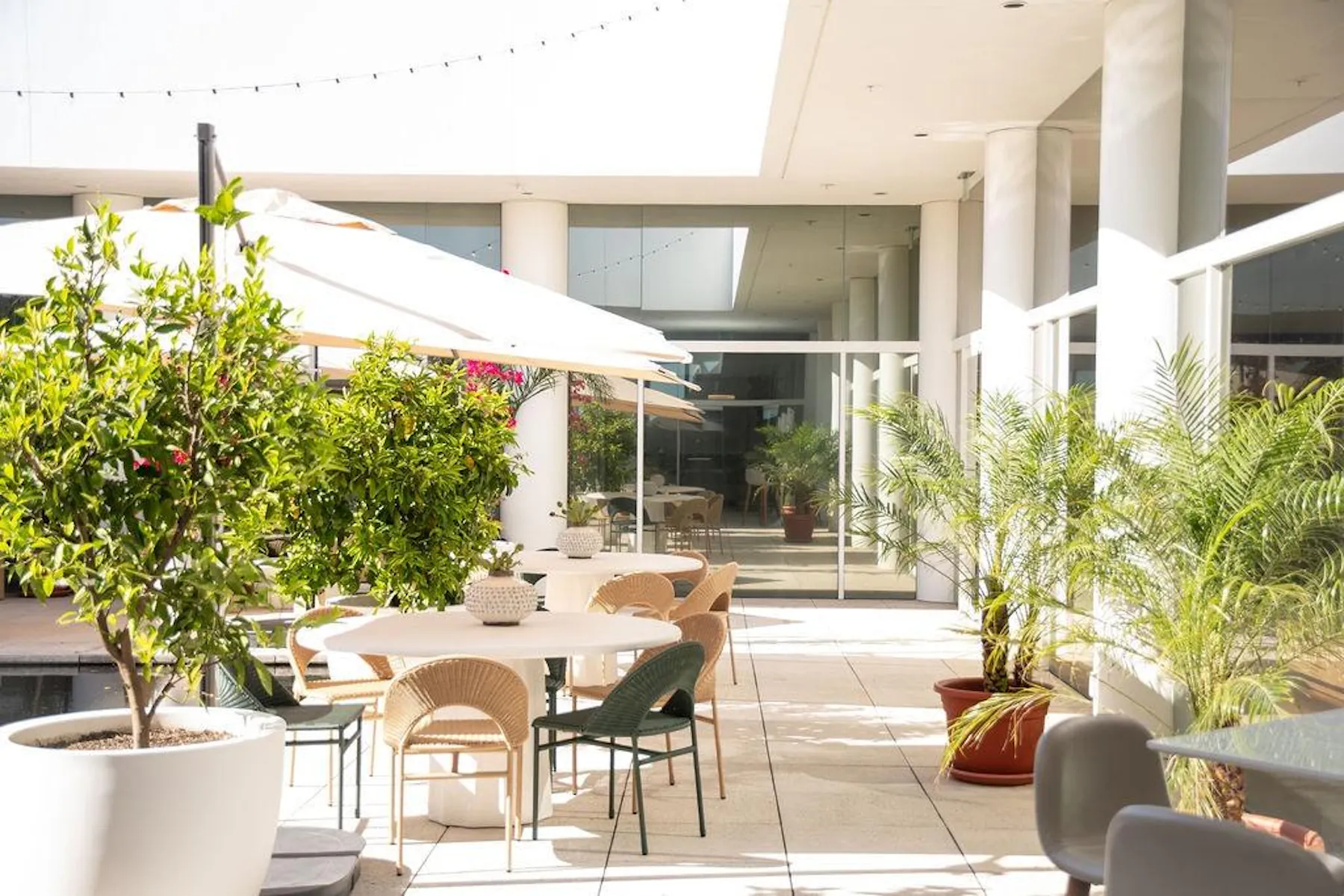 Artesa Vineyards & Winery - Napa, CA | Tock