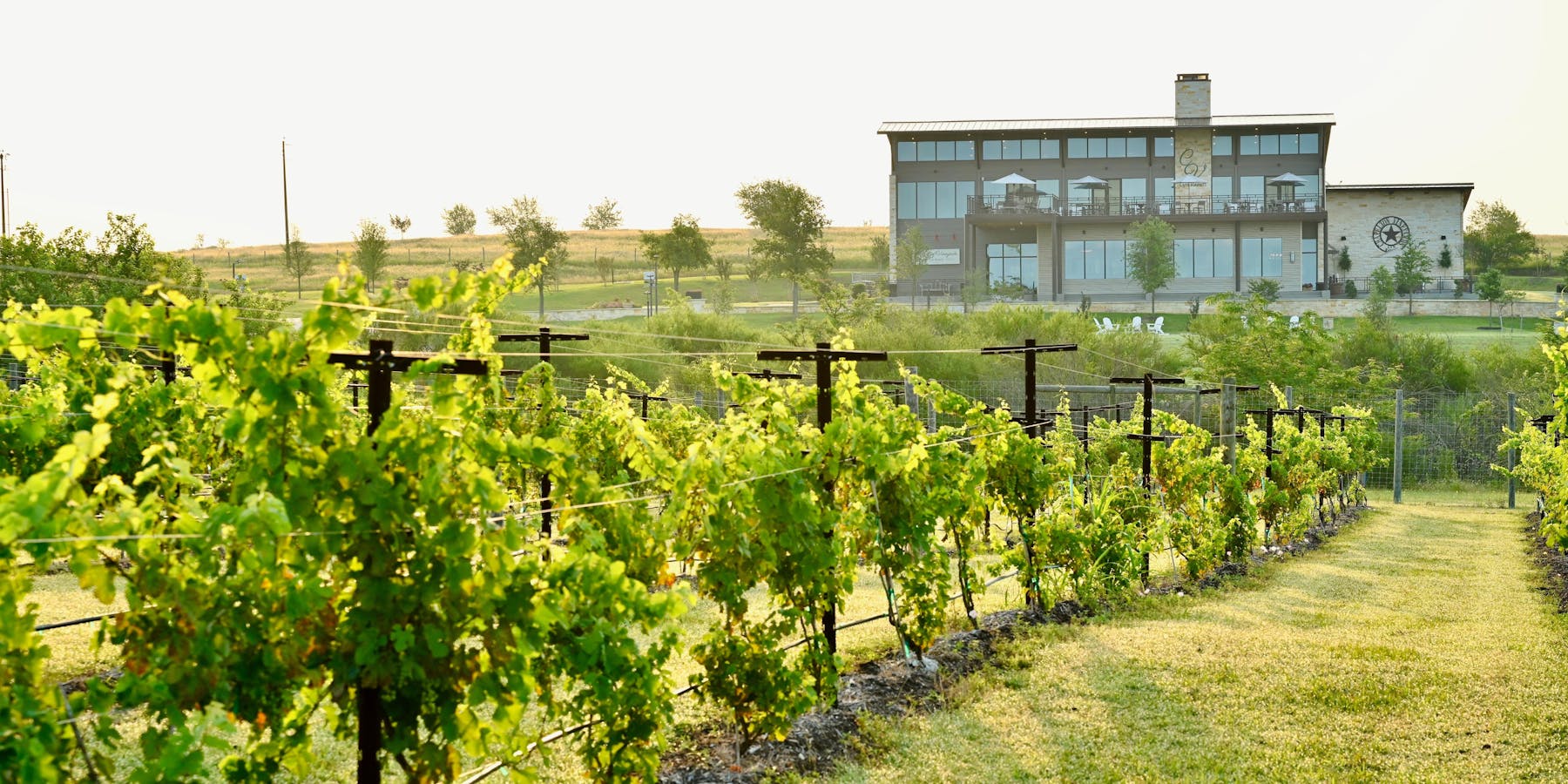 Chapelton Vineyards - Washington, TX | Tock