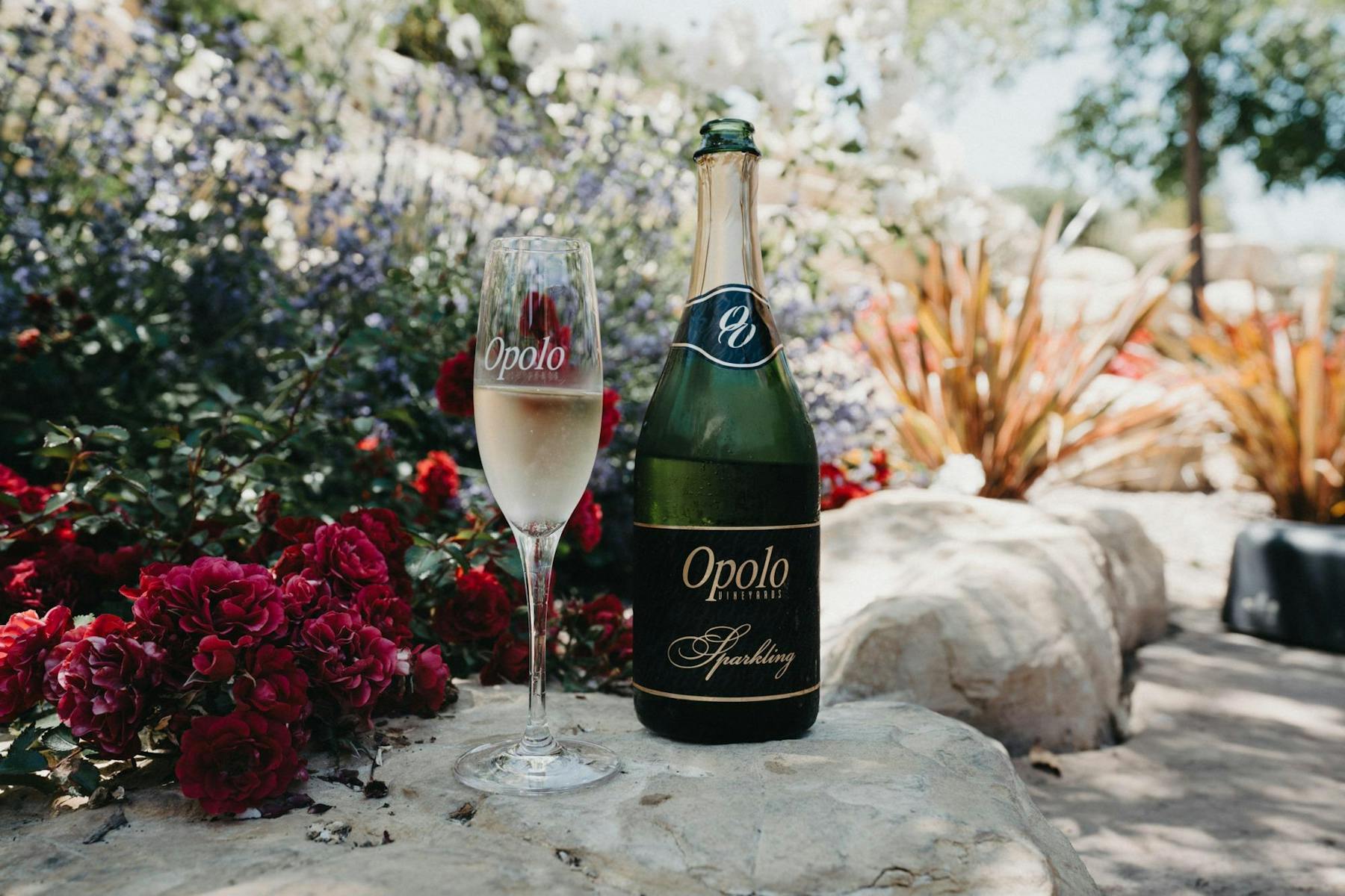 Opolo Vineyards - Paso Robles, CA | Tock