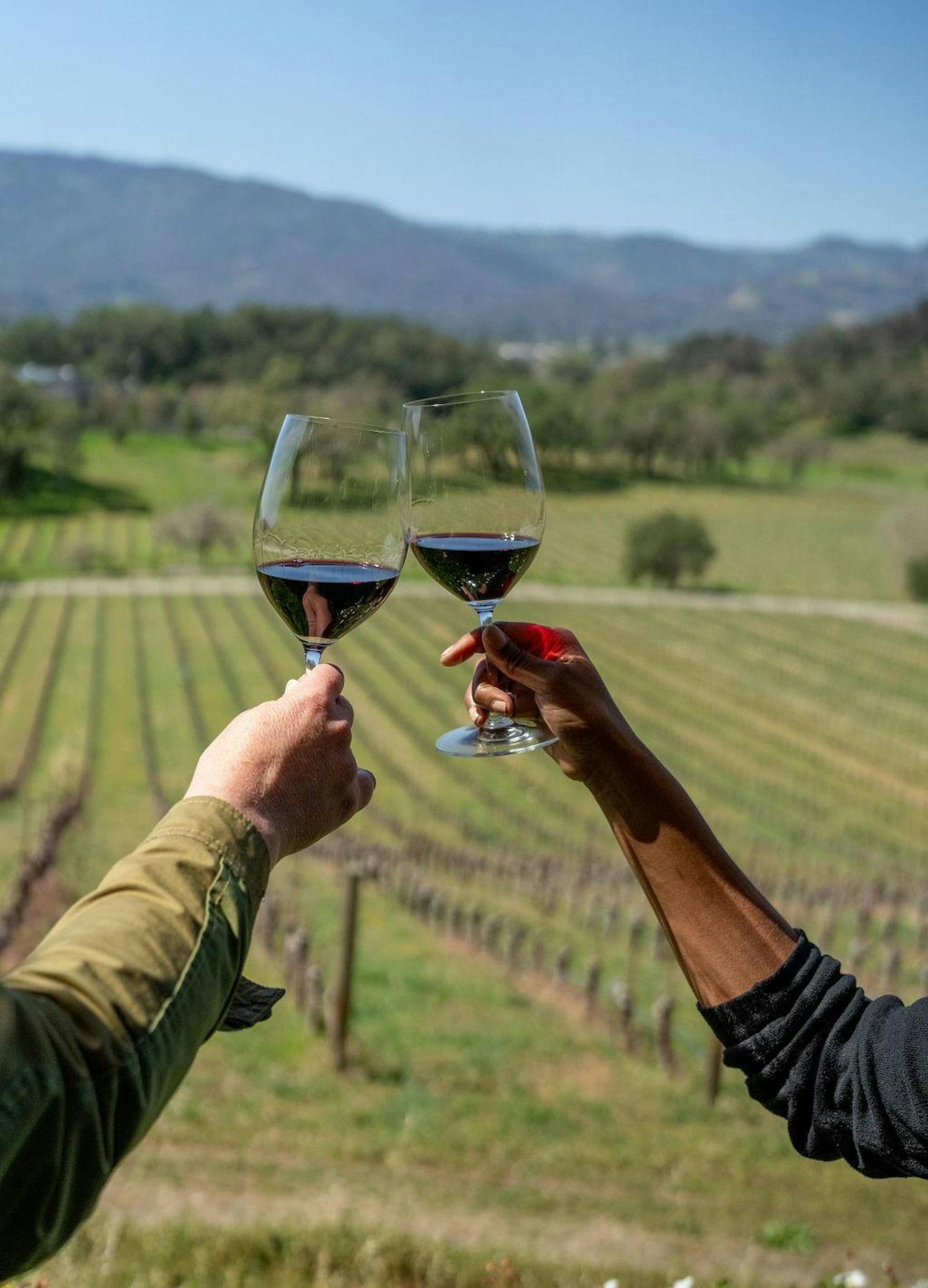 Joseph Phelps Vineyards - Collector's Private Tasting - St. Helena, CA ...