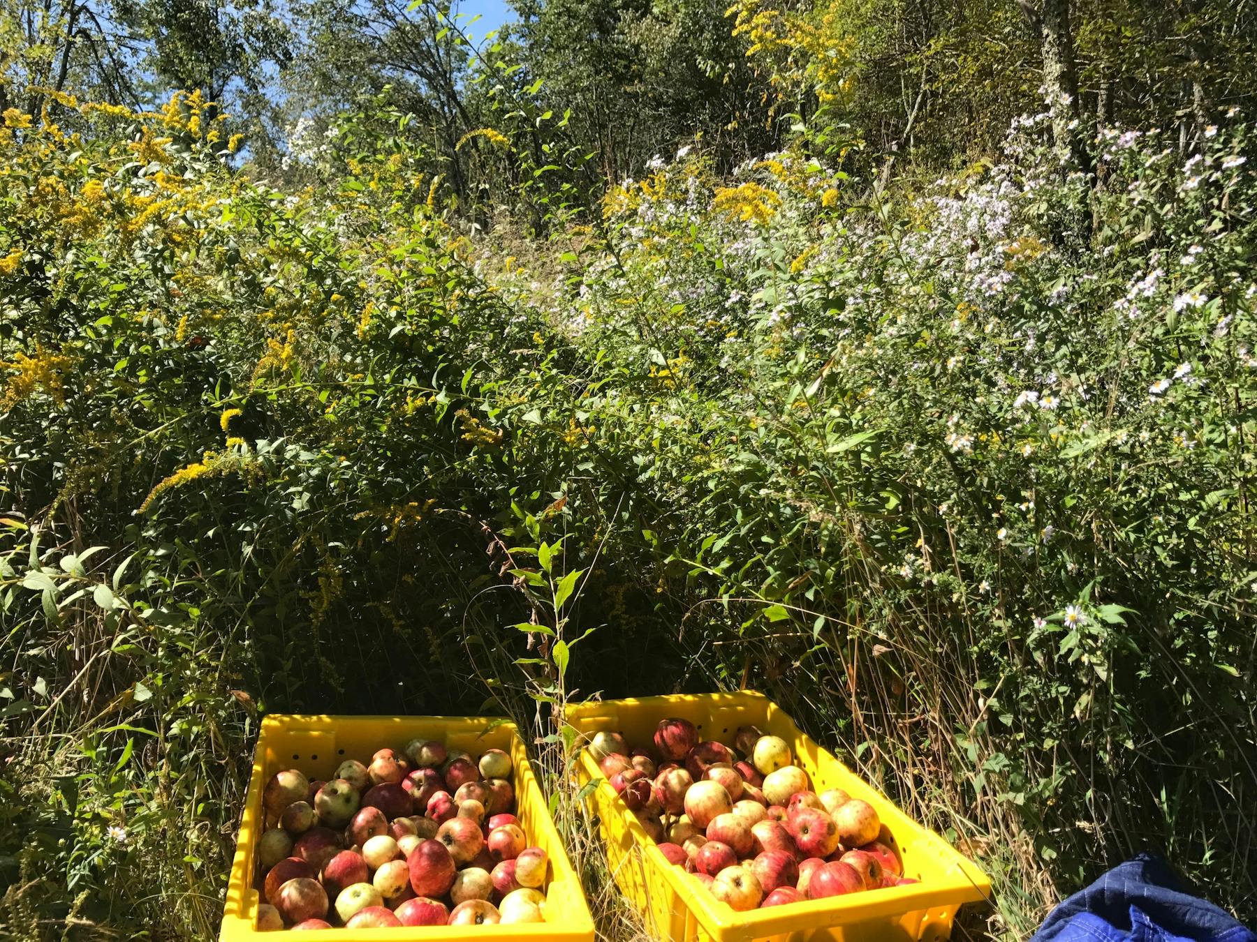 Blue Atlas - Richmond, VA | Tock