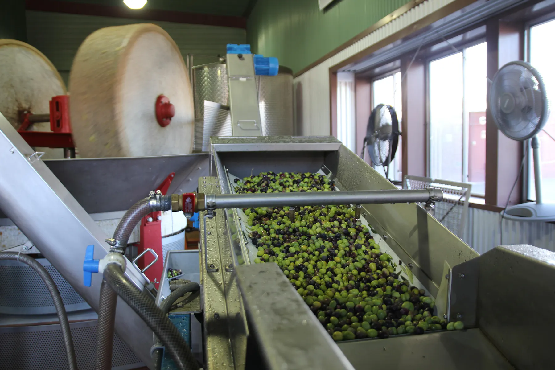 Trattore Farms and Winery - Paired Tasting Experience - Geyserville, CA ...