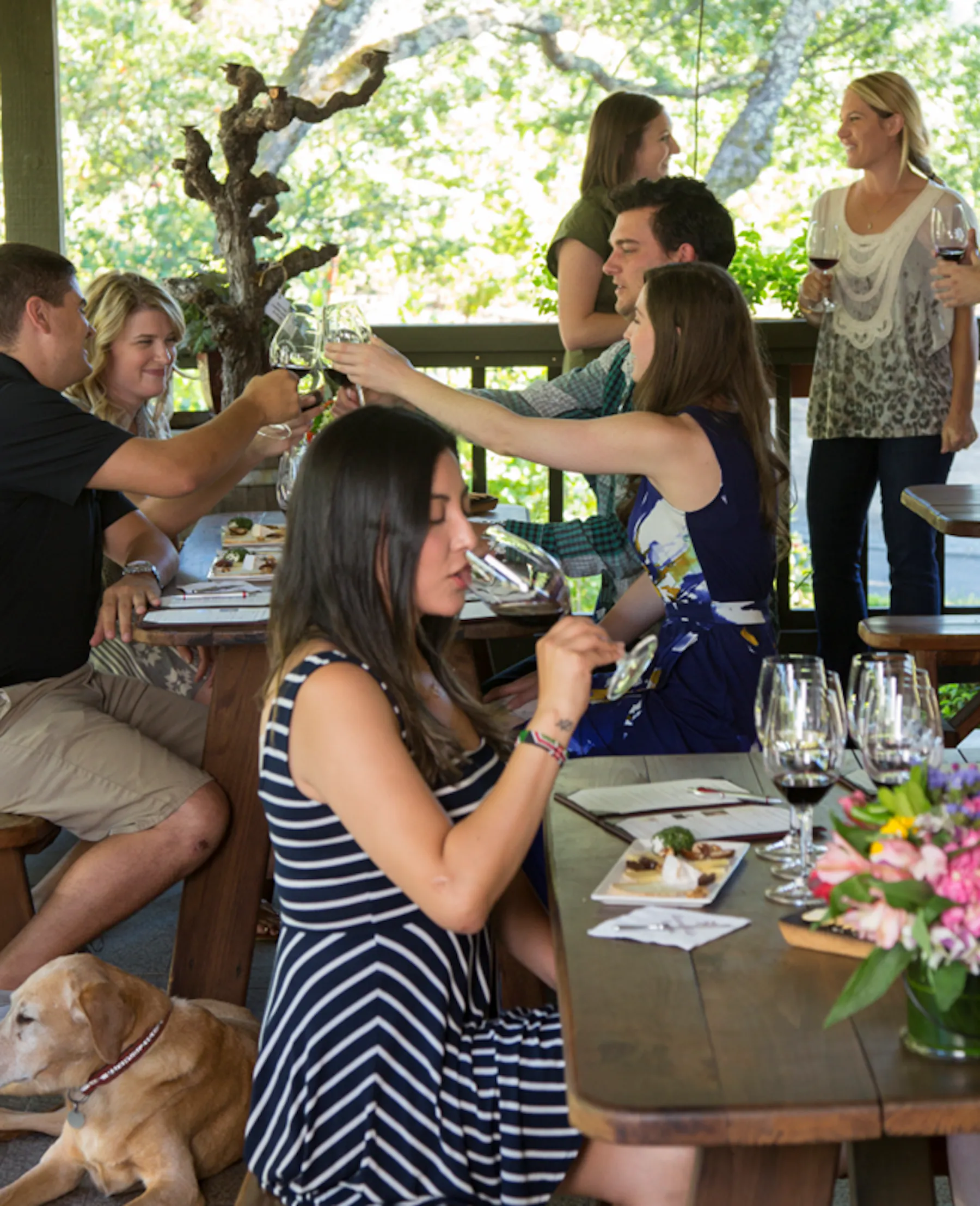 Alexander Valley Vineyards - Immersive Wine Cave Tour & Tasting ...