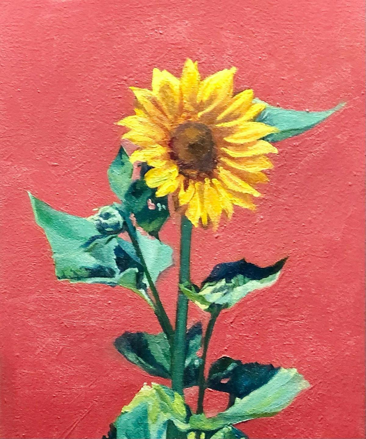 Turkovich Family Wines - Winters, CA | Tock