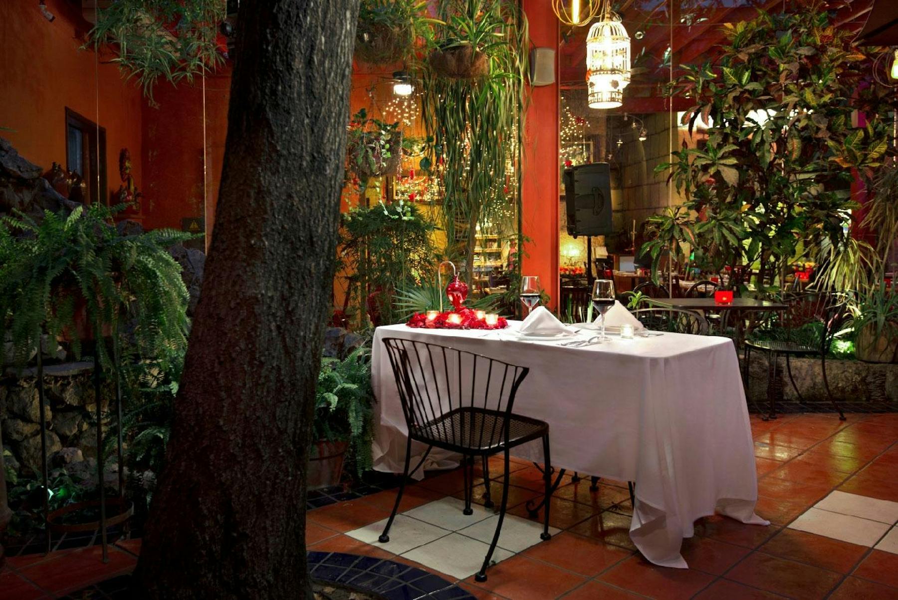 Feelgrow - Monterrey, N.L. | Tock