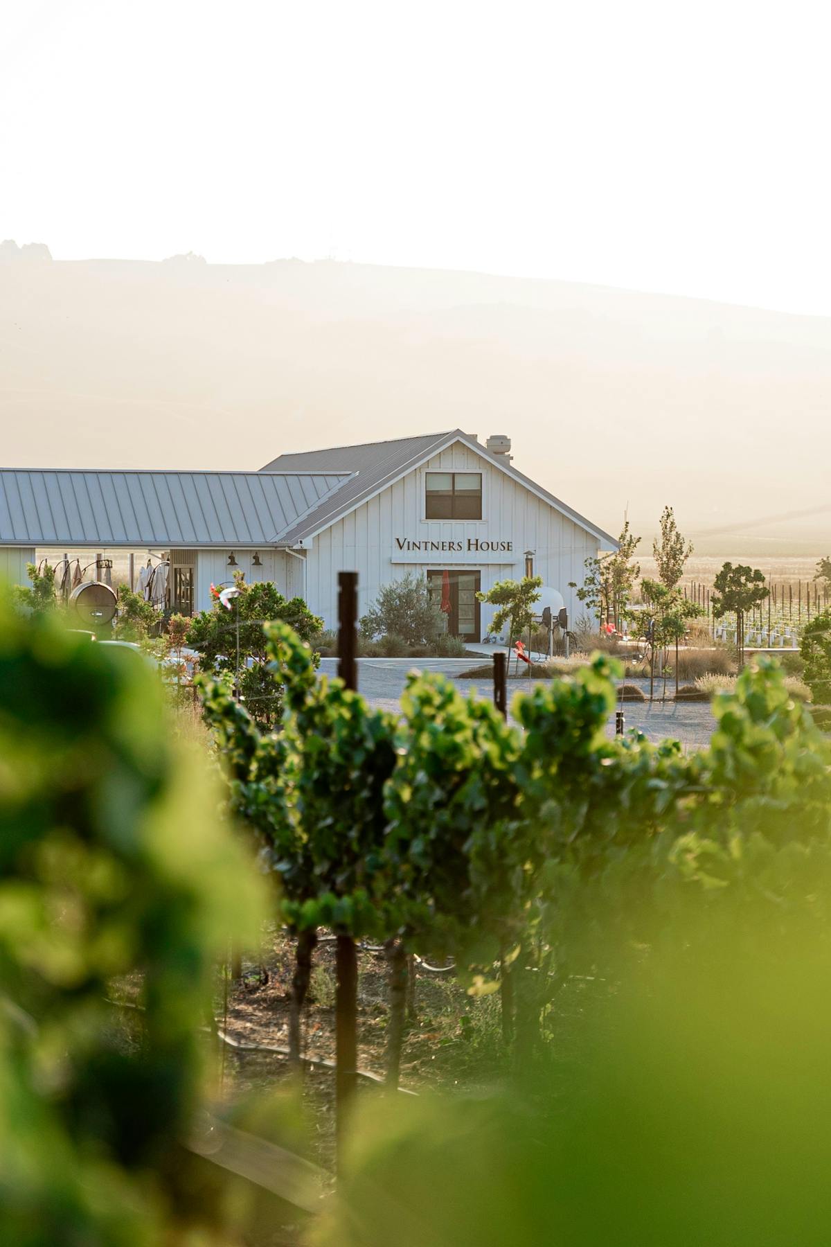 Anaba Wines - Tasting Reservation - Sonoma, CA | Tock