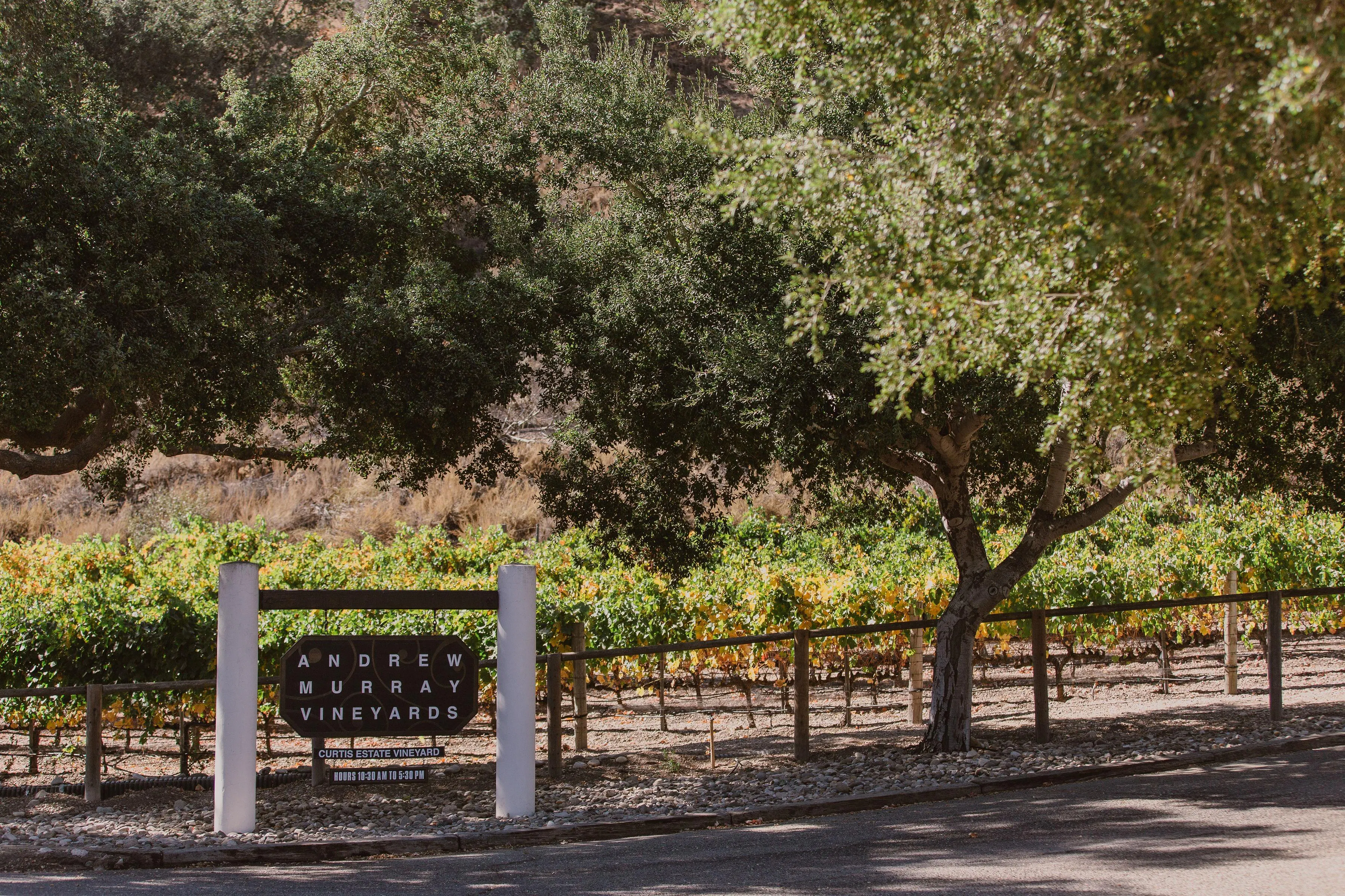 Andrew Murray Vineyards - Los Olivos, CA | Tock