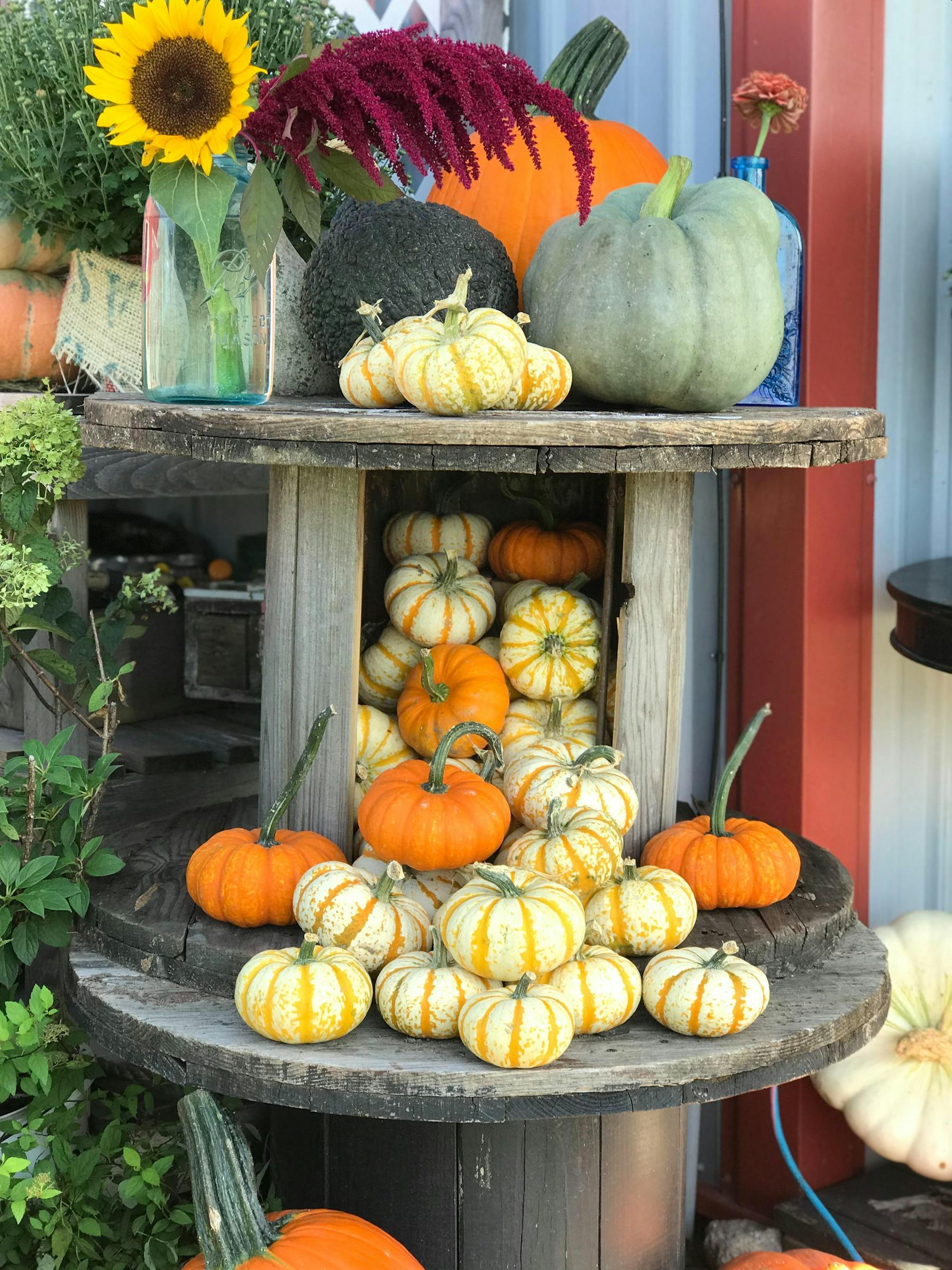 Locavore Farm - Grant Park, IL | Tock