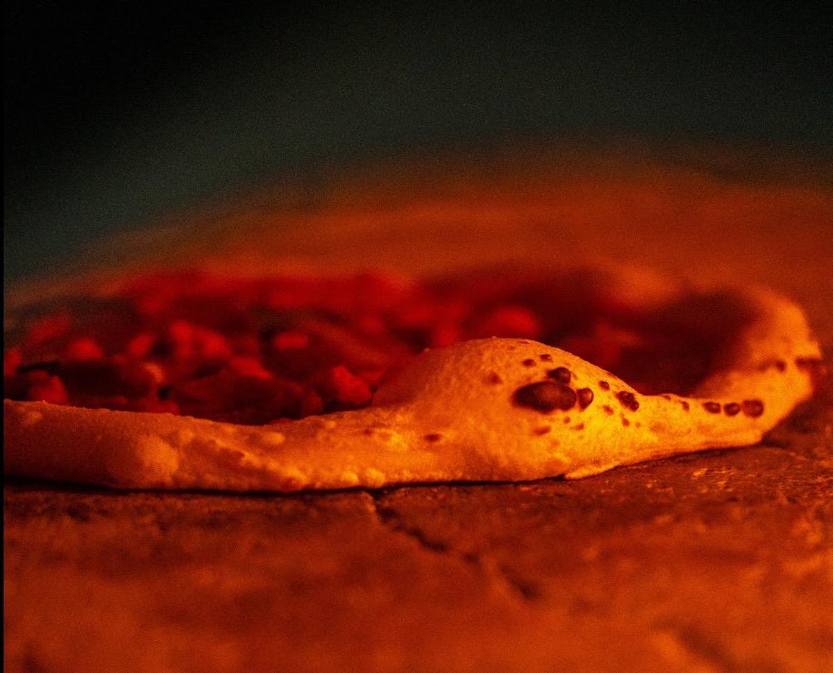 Lupo - Valentine Weekend - Big Party - Seattle, WA | Tock