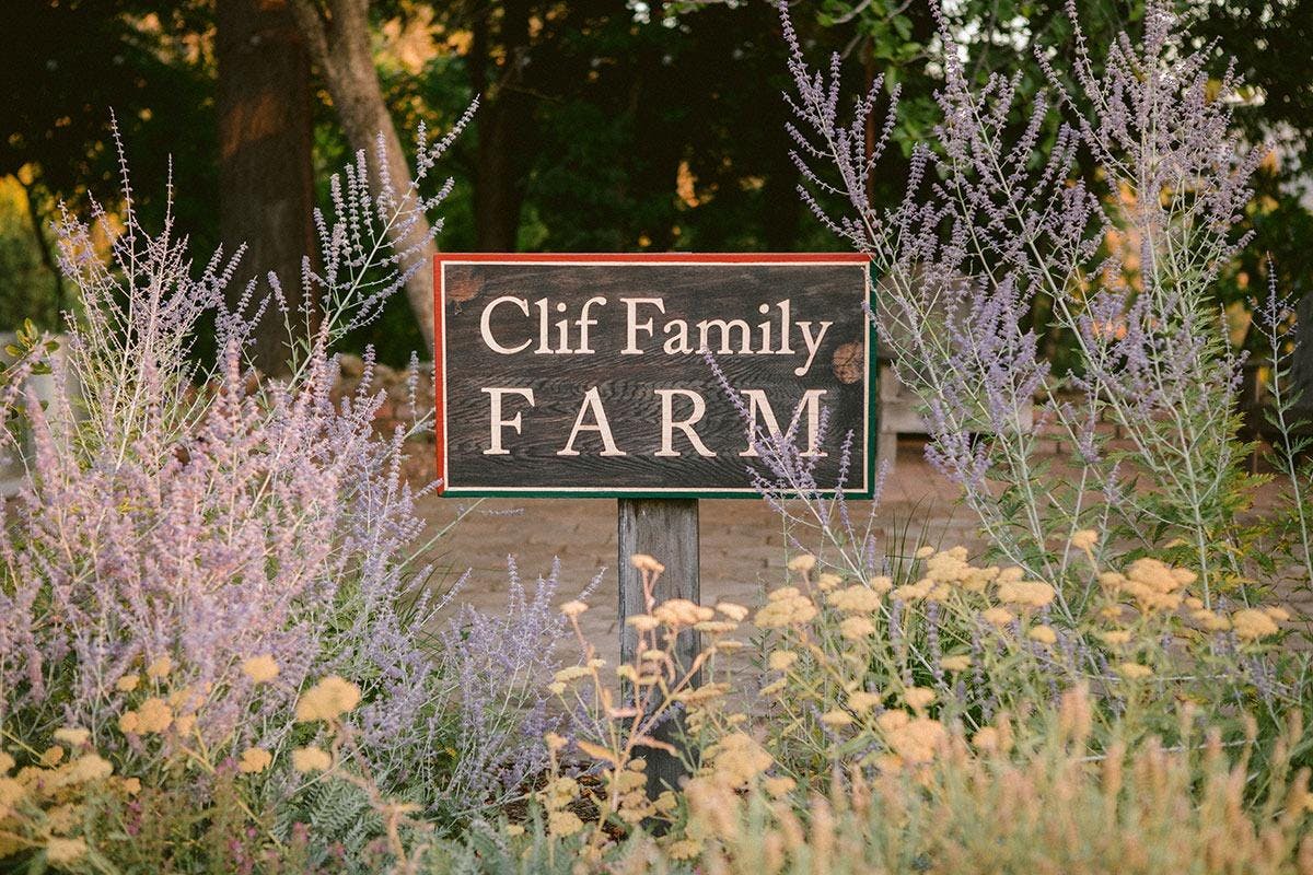Clif Family Enoteca - St. Helena, CA | Tock