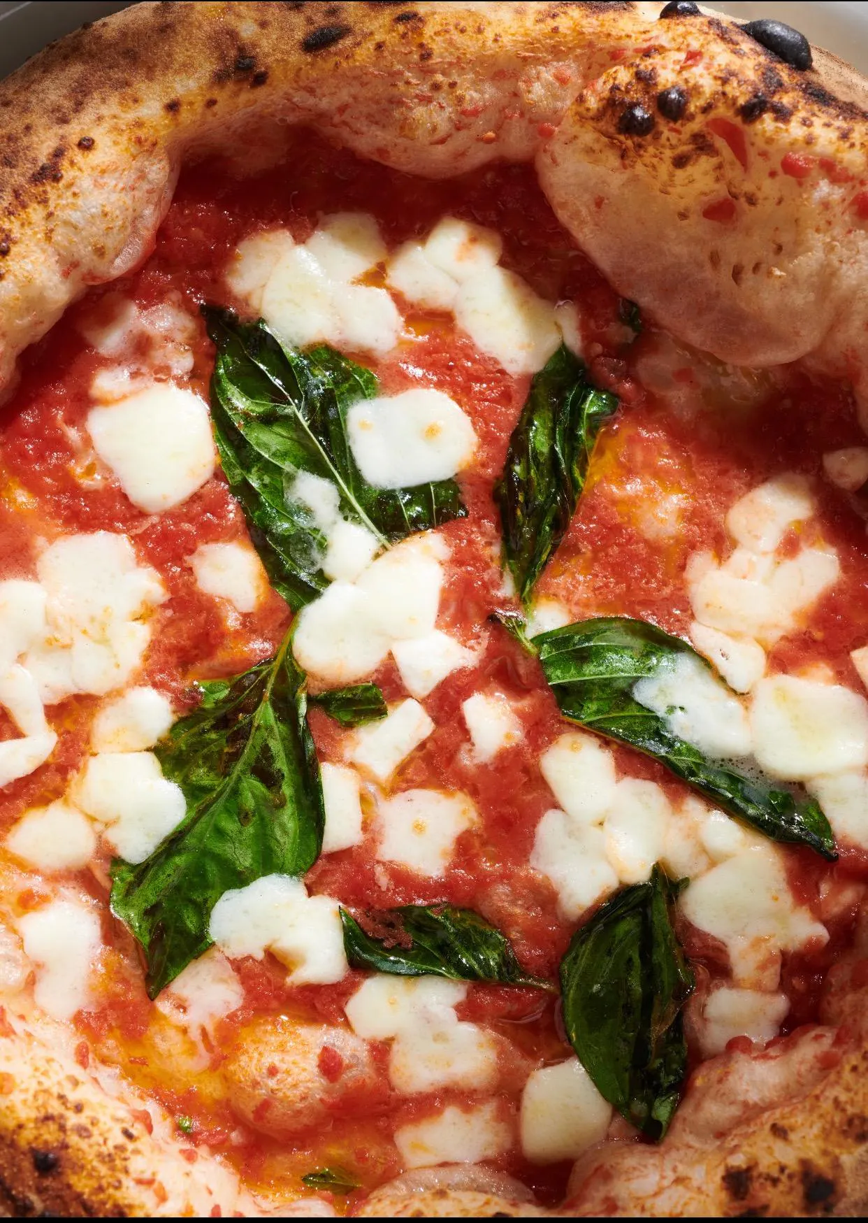 Vero Pizza Napoletana - Cleveland Heights, OH | Tock