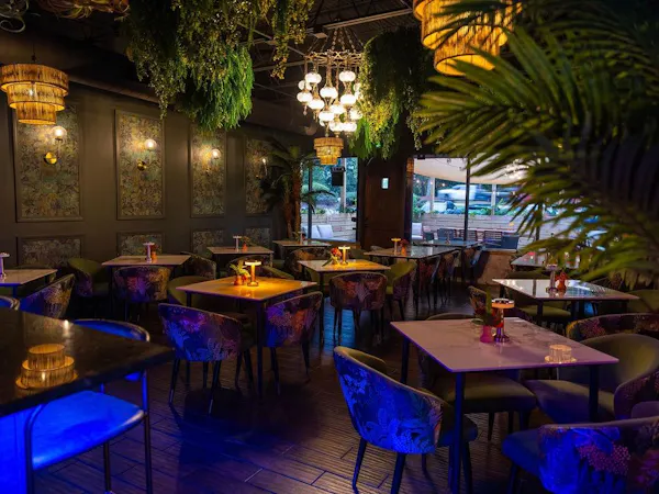 Zanzi Bar Cuisine & Lounge - Zanzi Bar Cuisine Reservation - Atlanta ...