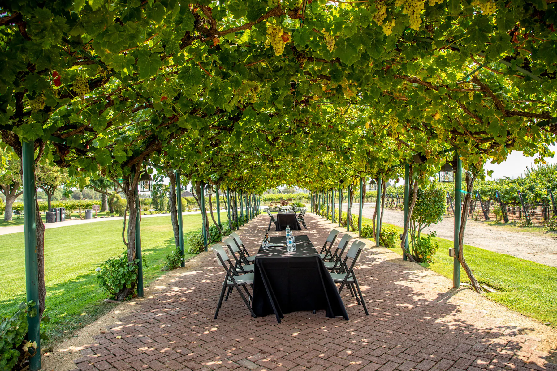 Concannon Vineyard - Livermore, CA | Tock