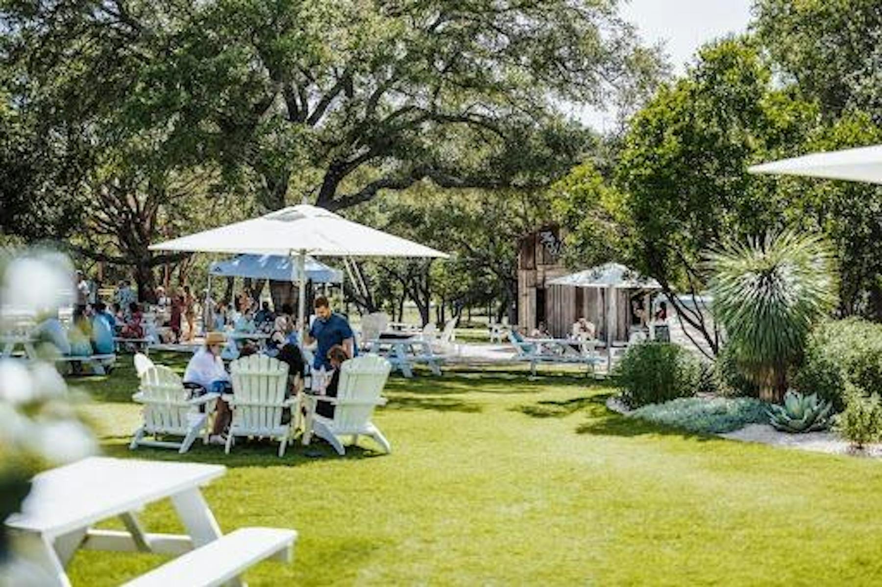 Signor Vineyards - Fredericksburg - Fredericksburg, TX | Tock