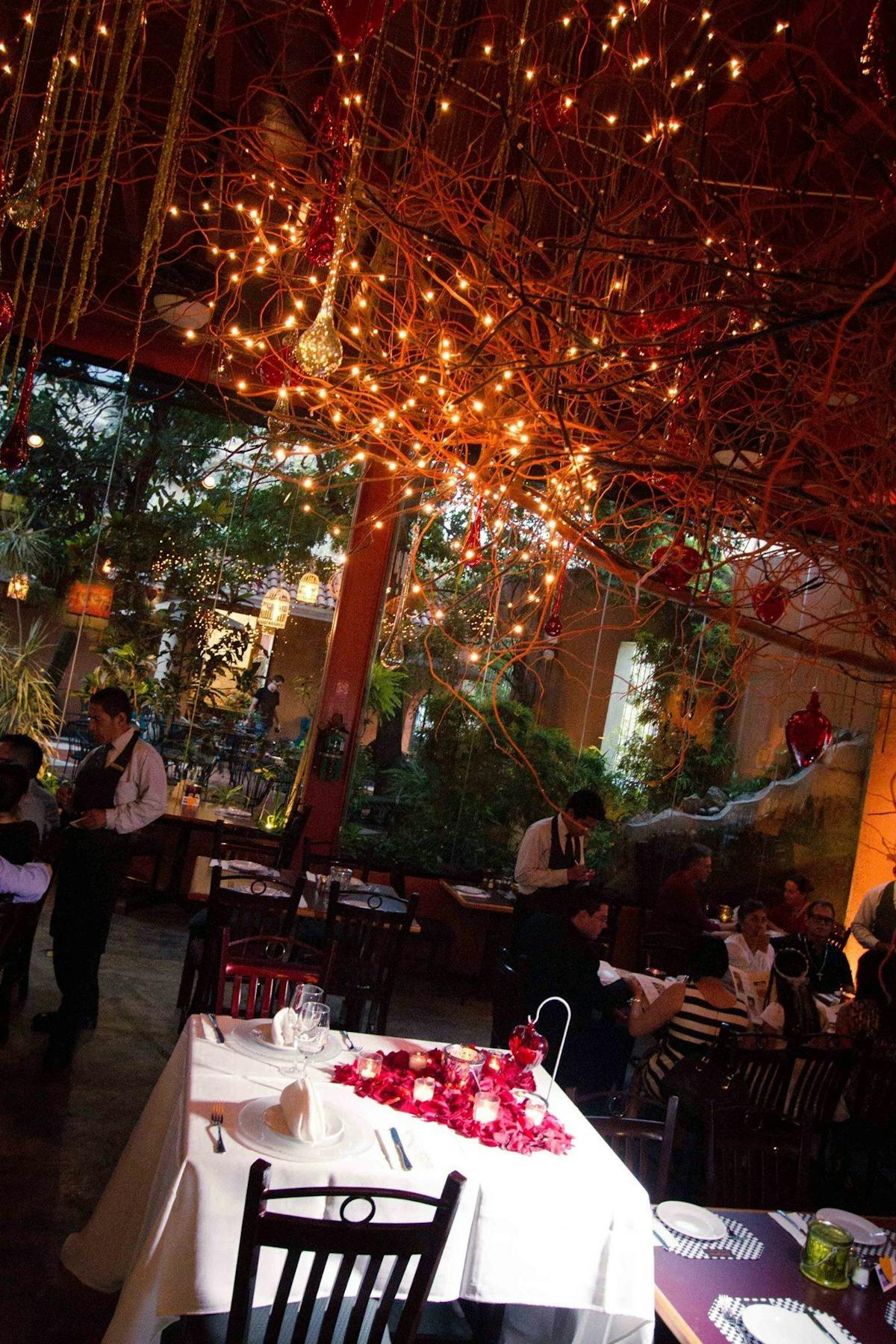 Feelgrow - Monterrey, N.L. | Tock