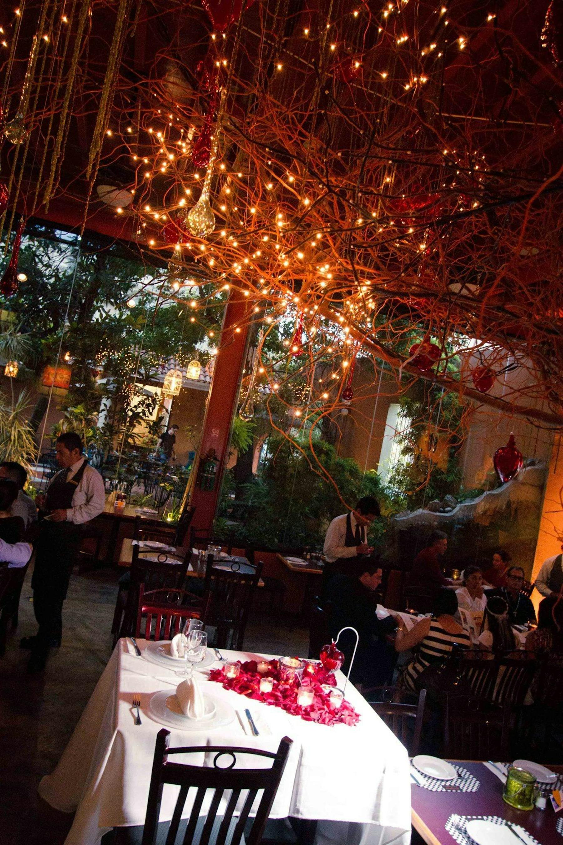 Feelgrow - Monterrey, N.L. | Tock