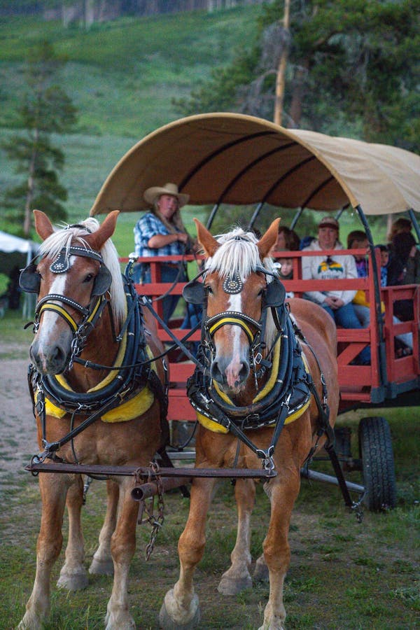 Keystone Stables Wagon Rides - Keystone, CO | Tock
