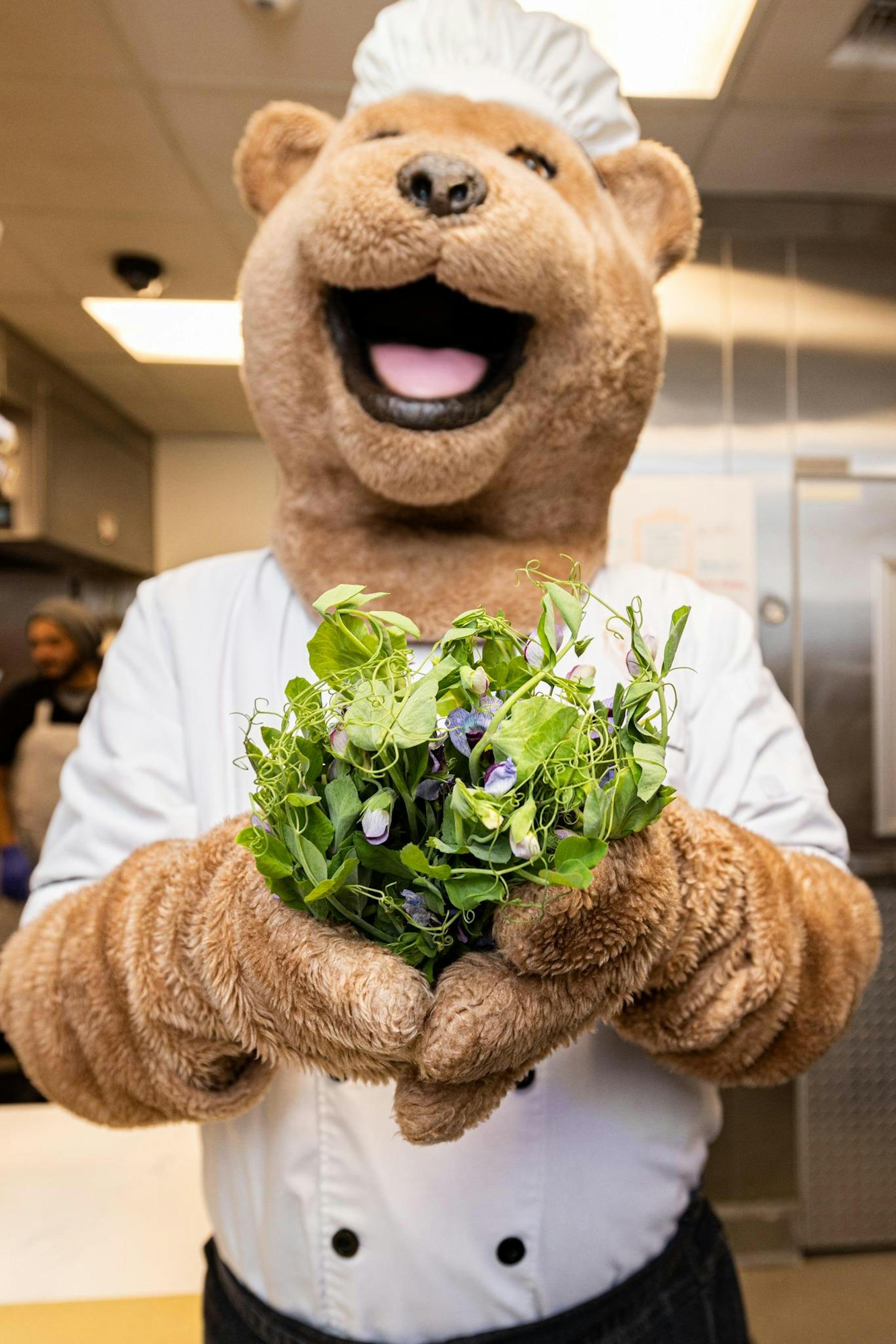 Cow by Bear - San Diego, CA | Tock